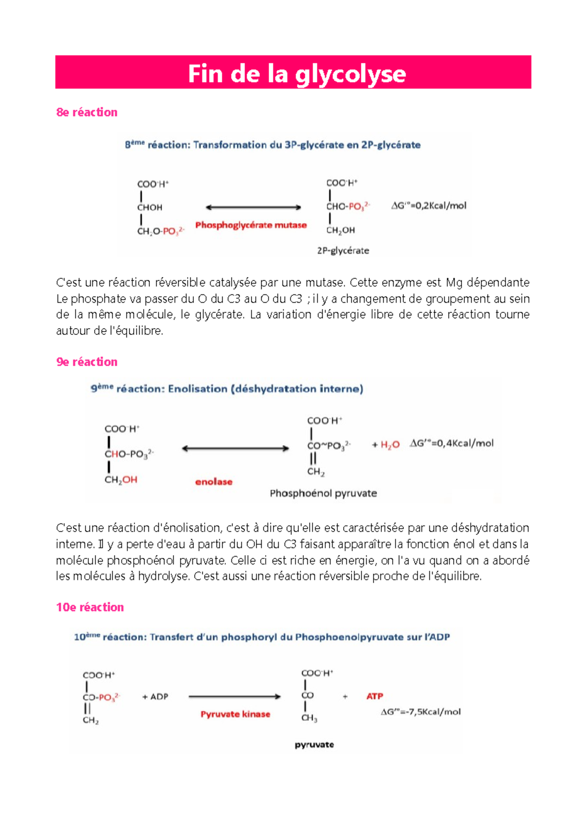 CM - biochimie métabolique - Fin de la glycolyse 8e réaction C'est une ...