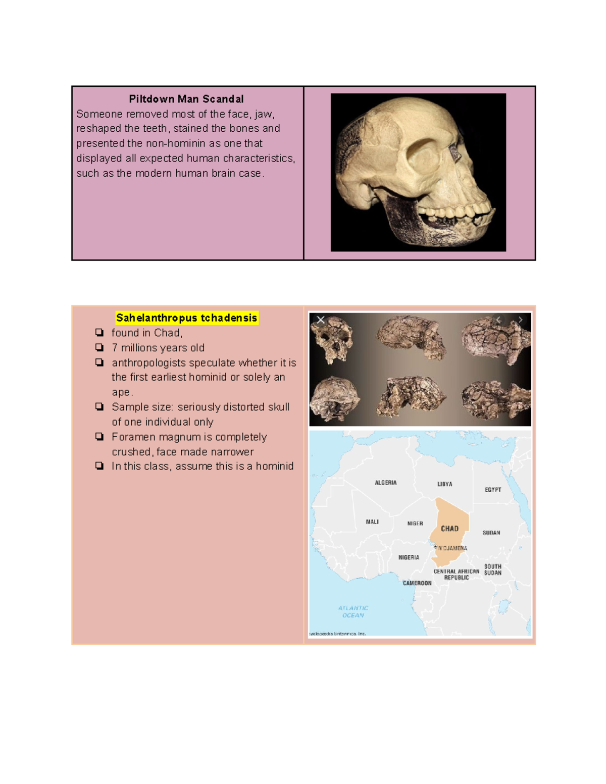 Fossil Record_Anthropology 101 exam 2 study guide - Piltdown Man ...