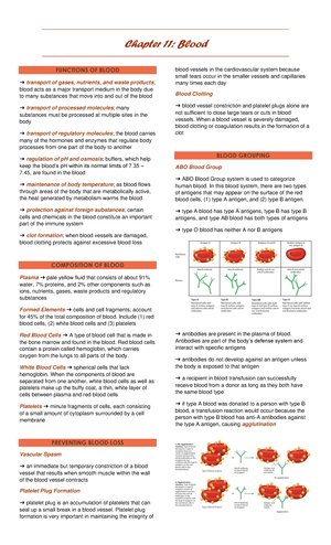 C1 Human Organism ( Transes) - Chapter 1: The Human Organism ANATOMY ...