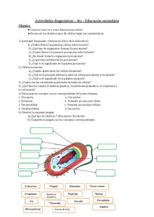 Trabajos Práctico Biologia 1 - TRABAJO PRÁCTICO N°1: “BIOLOGÍA: LA ...