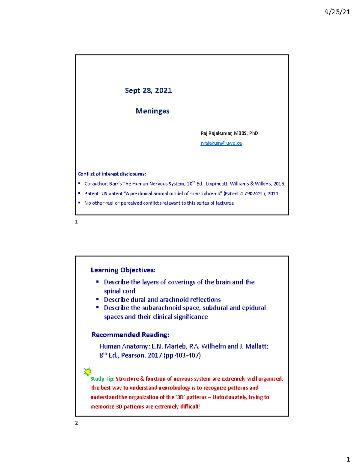 Meninges sept24 - 2244 - UWO - Studocu