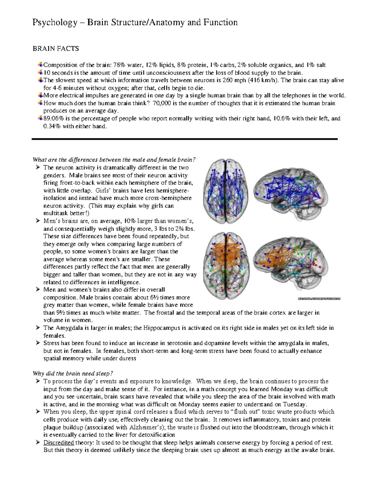 Psych brain notes - Psychology – Brain Structure/Anatomy and Function ...