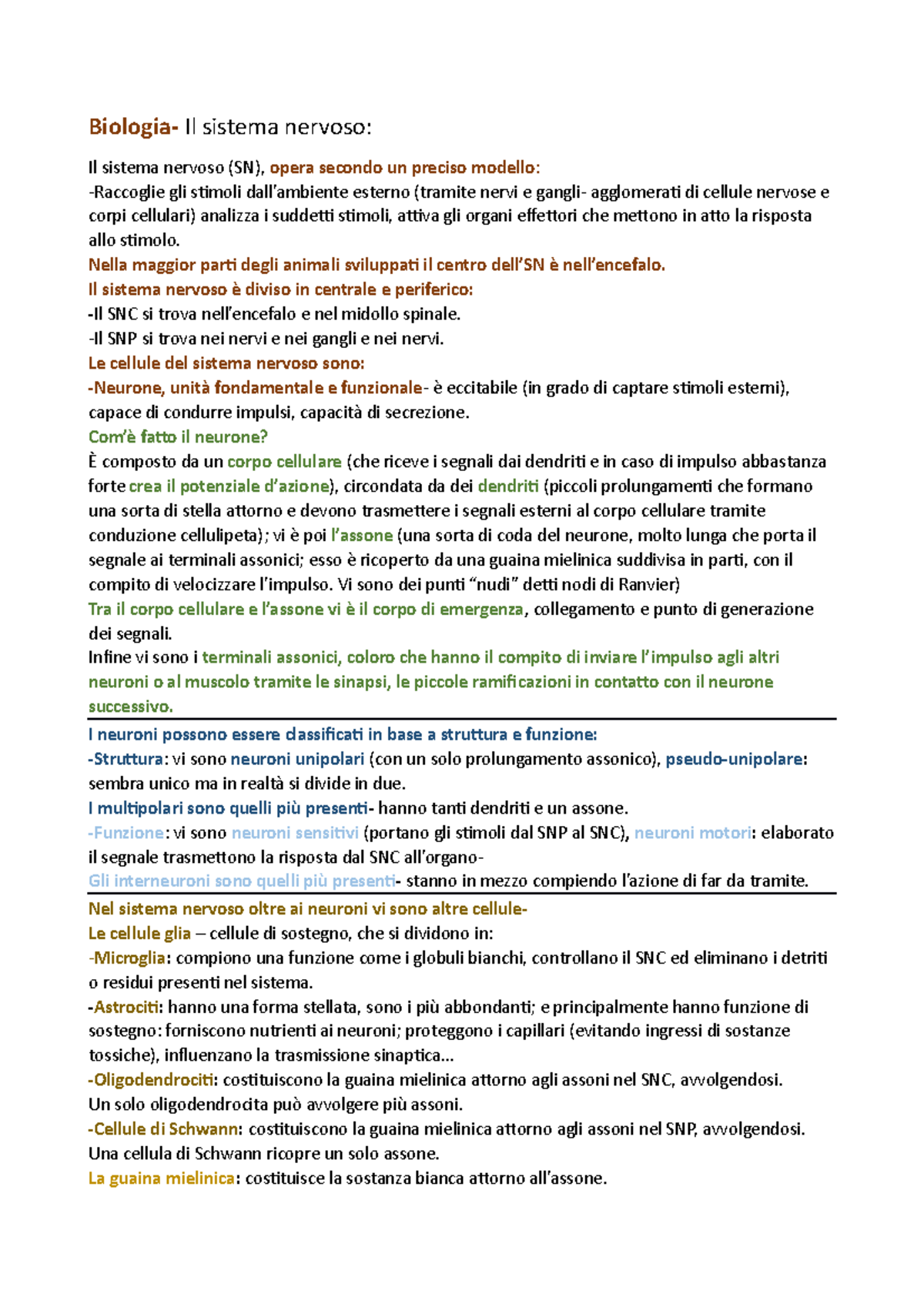 25 02 2022 Biologia J Il Sistema Nervoso Biologia Il Sistema