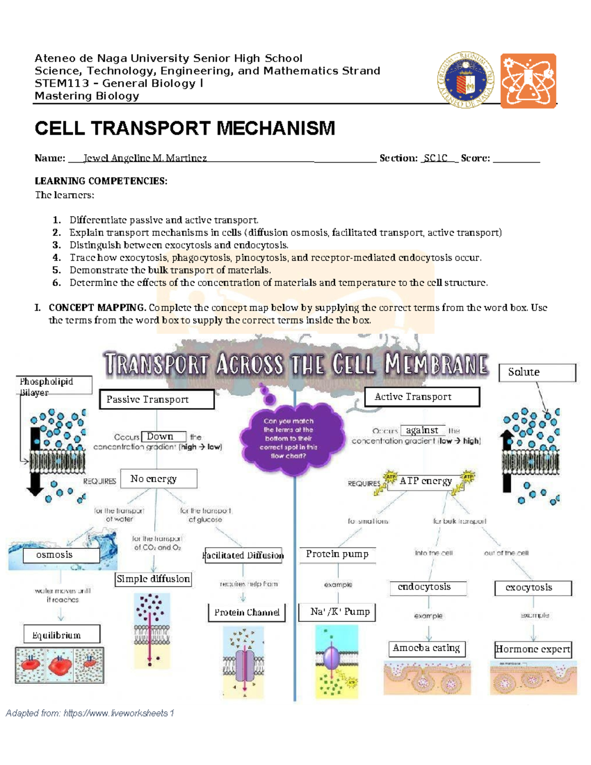 Mastering Biology 2 Cell Transport Mechanism - Ateneo de Naga ...