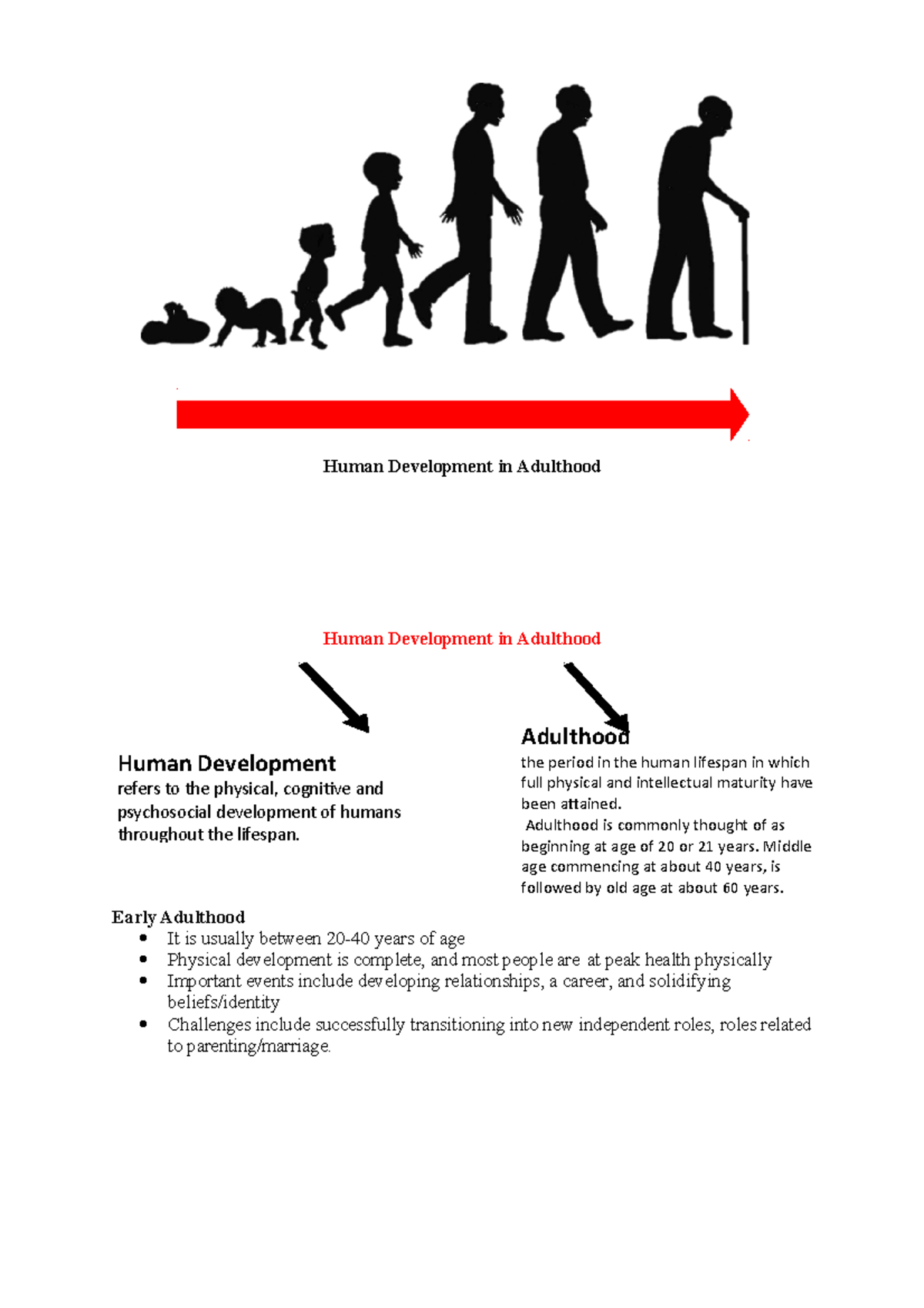 Human Development in Adulthood russel - Human Development in Adulthood ...