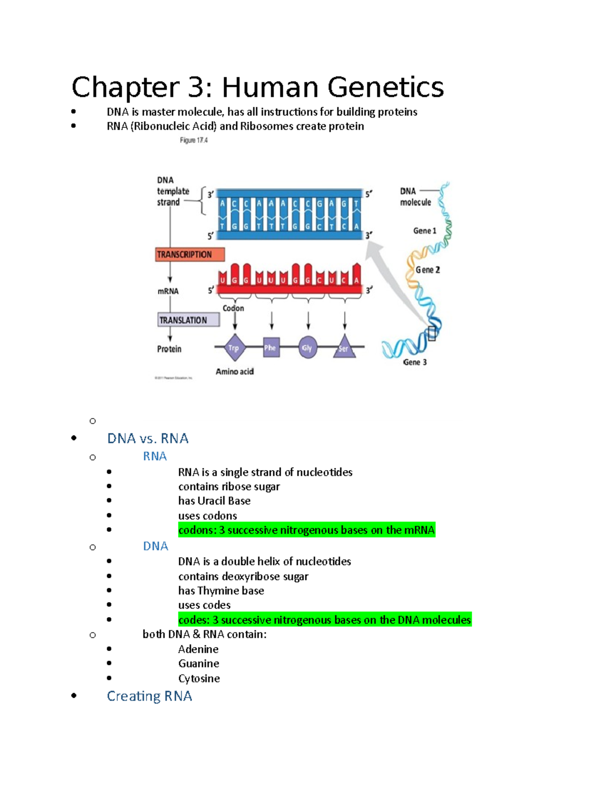 Chapter 3 Human Genetics - Chapter 3: Human Genetics DNA is master ...