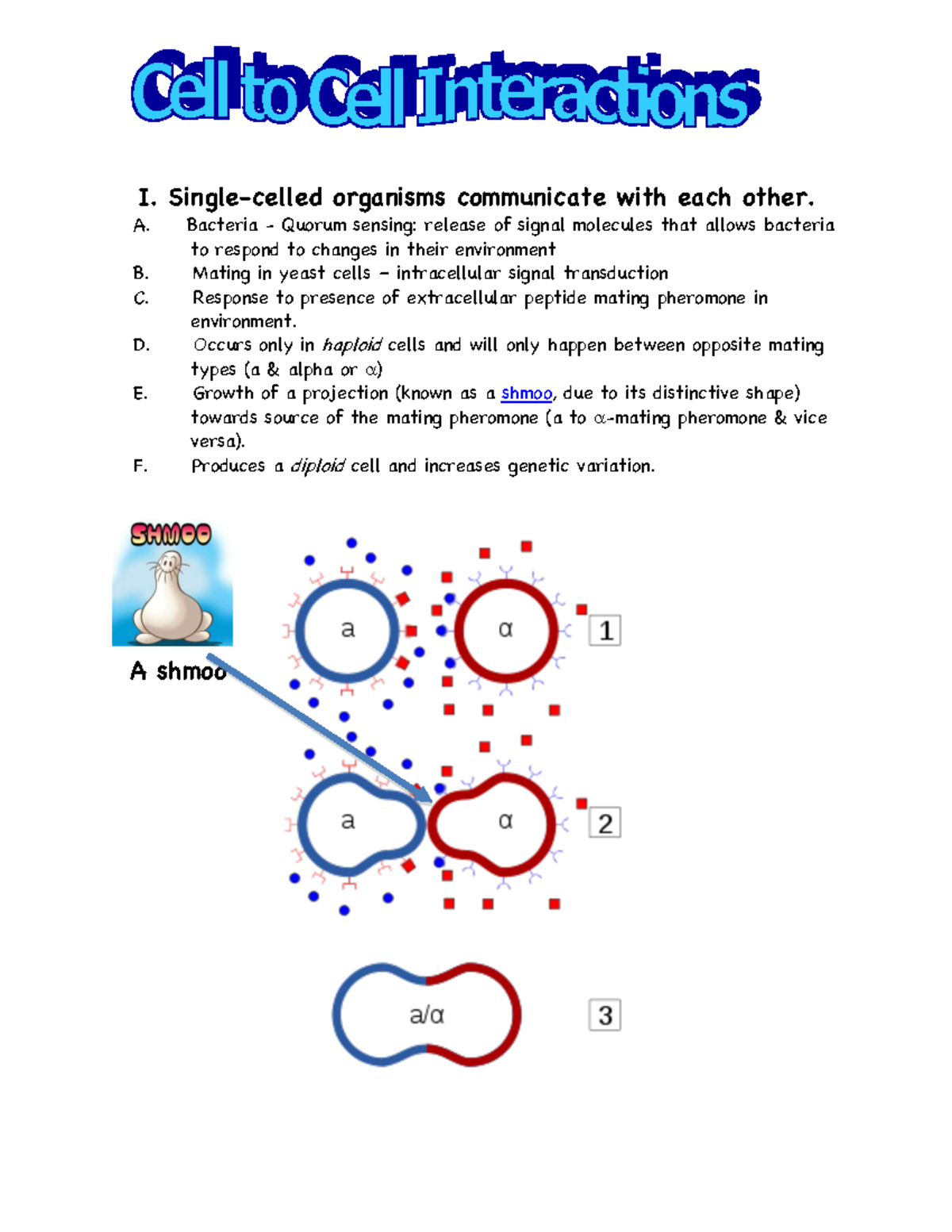 Cell communication handout (CAH) - I. Single-celled organisms ...