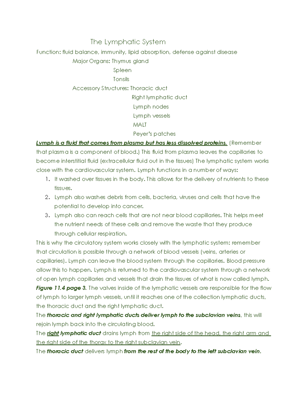 The Lymphatic System (1) - The Lymphatic System Function: fluid balance ...