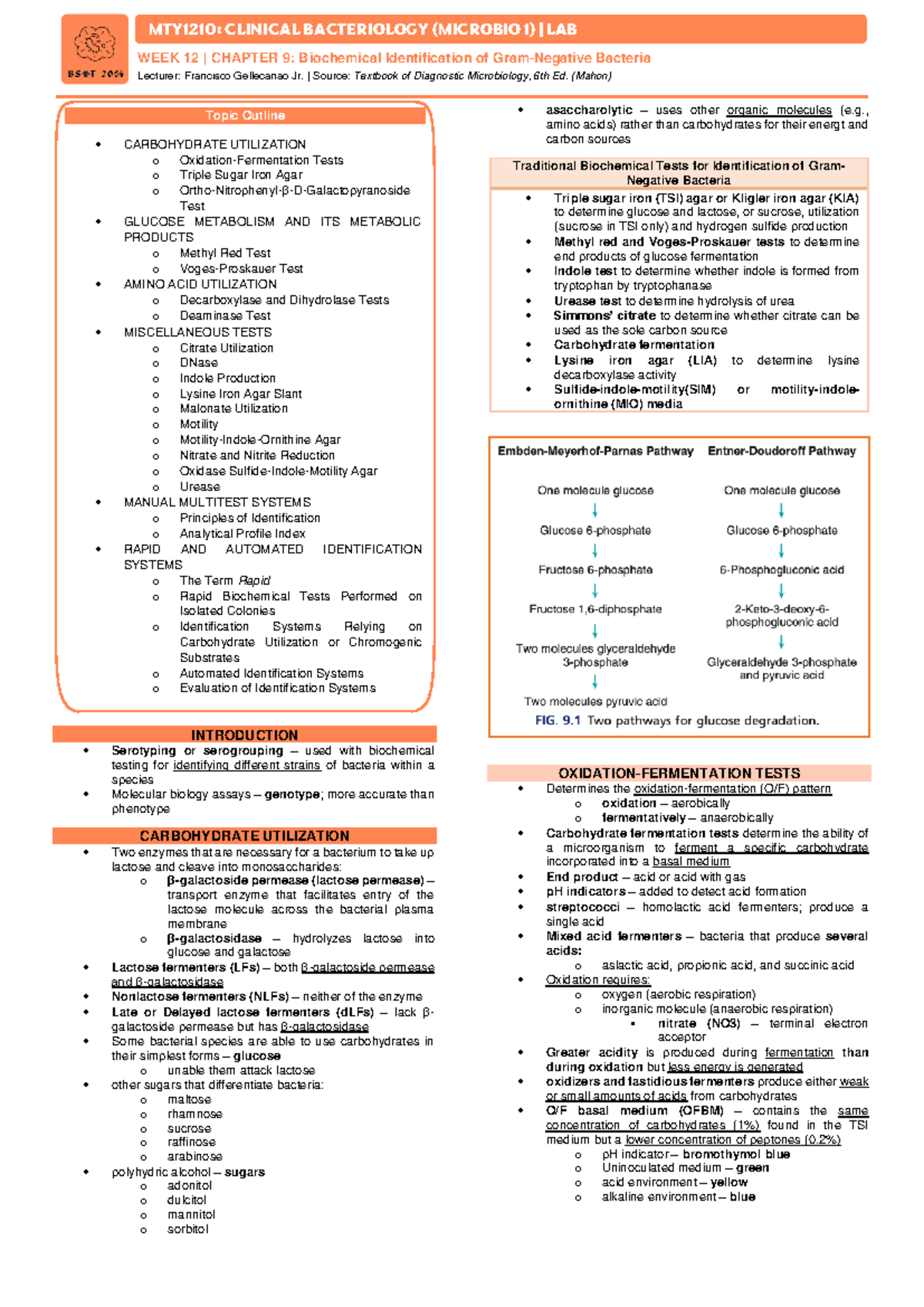 Gram Negative Bacteria - MTY1210: CLINICAL BACTERIOLOGY (MICROBIO 1) | LAB WEEK 12 | CHAPTER 9 ...