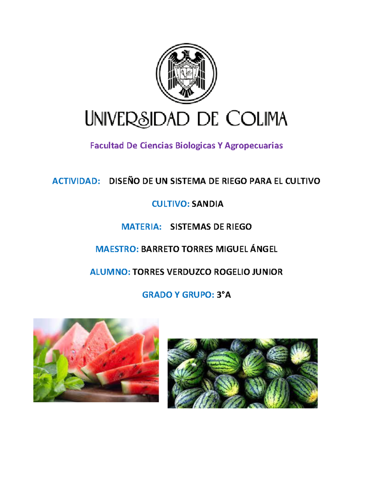 Proyecto de sandia - Facultad De Ciencias Biologicas Y Agropecuarias ...
