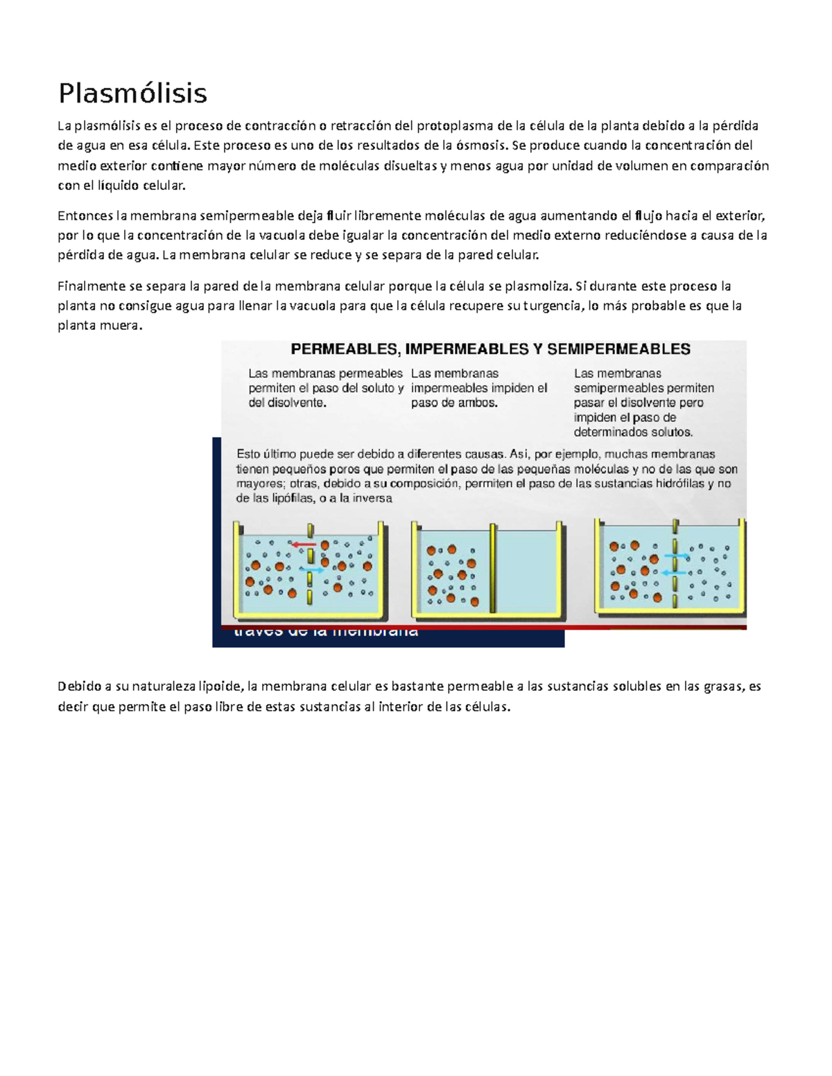 Plasmólisis - Apuntes 1 - Plasmólisis La plasmólisis es el proceso de ...