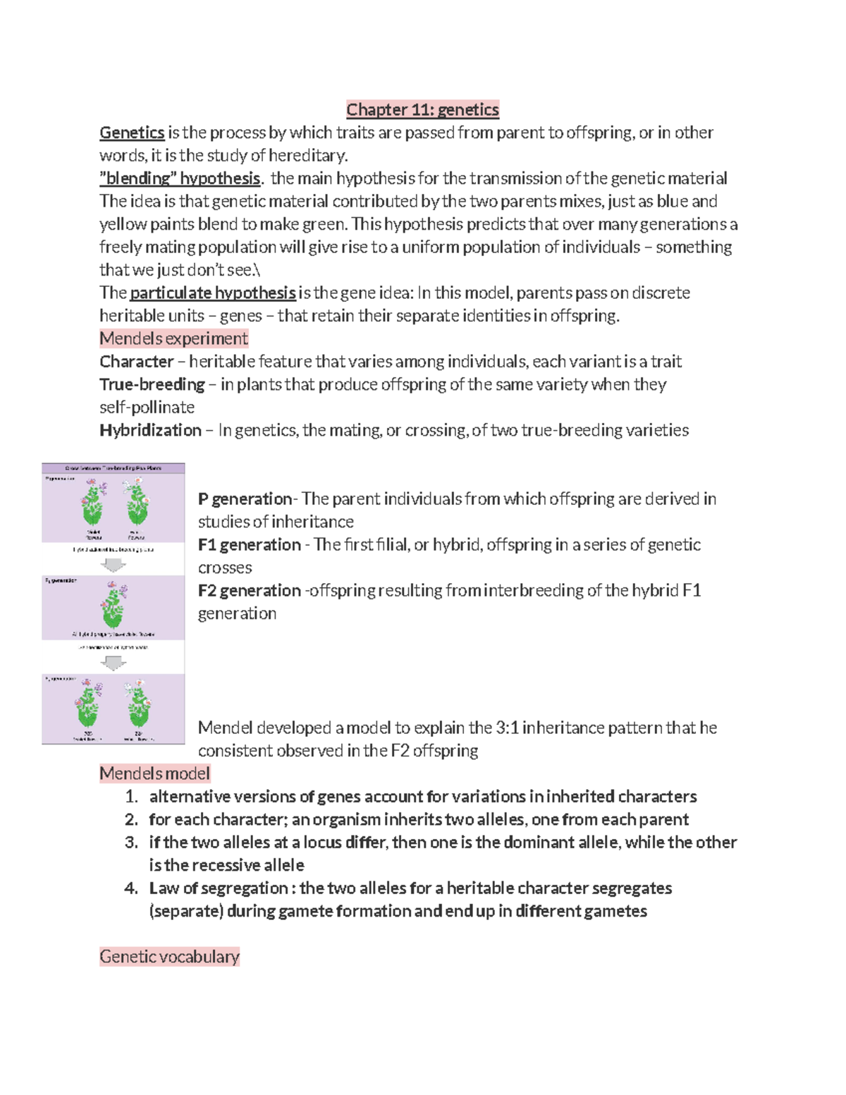 Chapter 11: genetics - Chapter 11: genetics Genetics is the process by ...