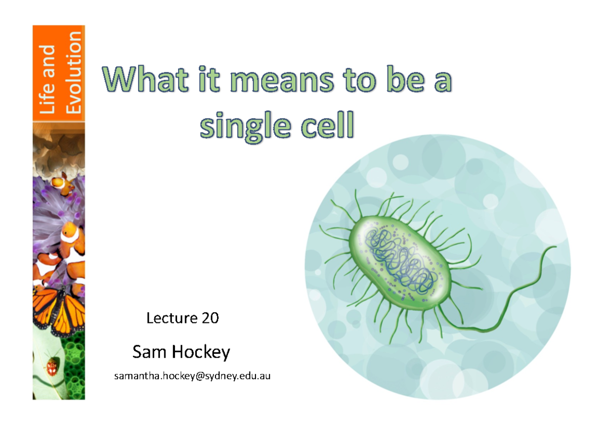 L20 slides - What it means to be a single cell notes. What it means to ...