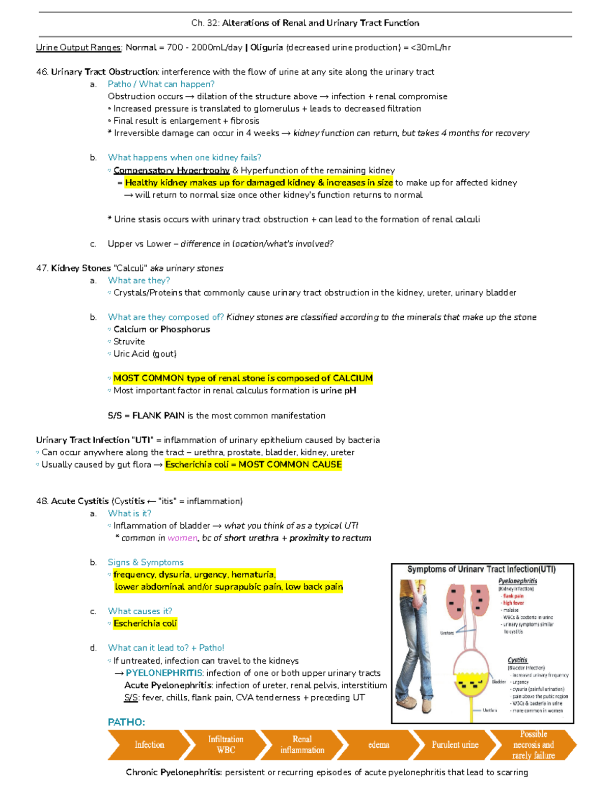 Nursing Patho - Renal - Ch. 32: Alterations of Renal and Urinary Tract ...