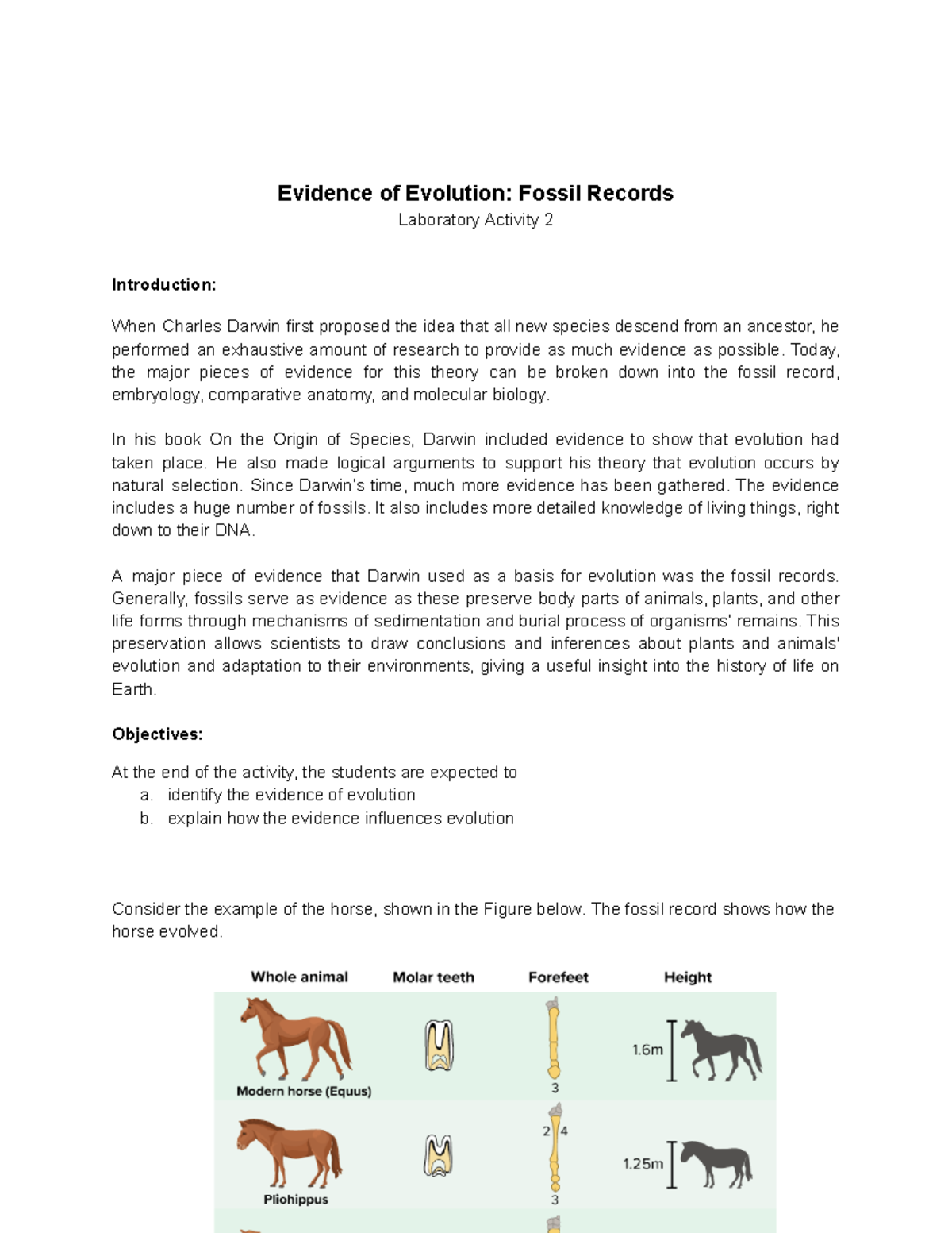 Gen BIOFossil - hello hi - Evidence of Evolution: Fossil Records ...