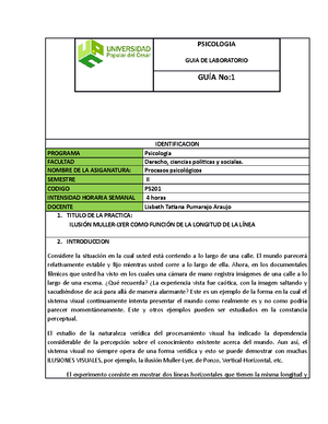 Segundo Semestre - Procesos Psicologicos 20201 - GUÍA PARA EL ...