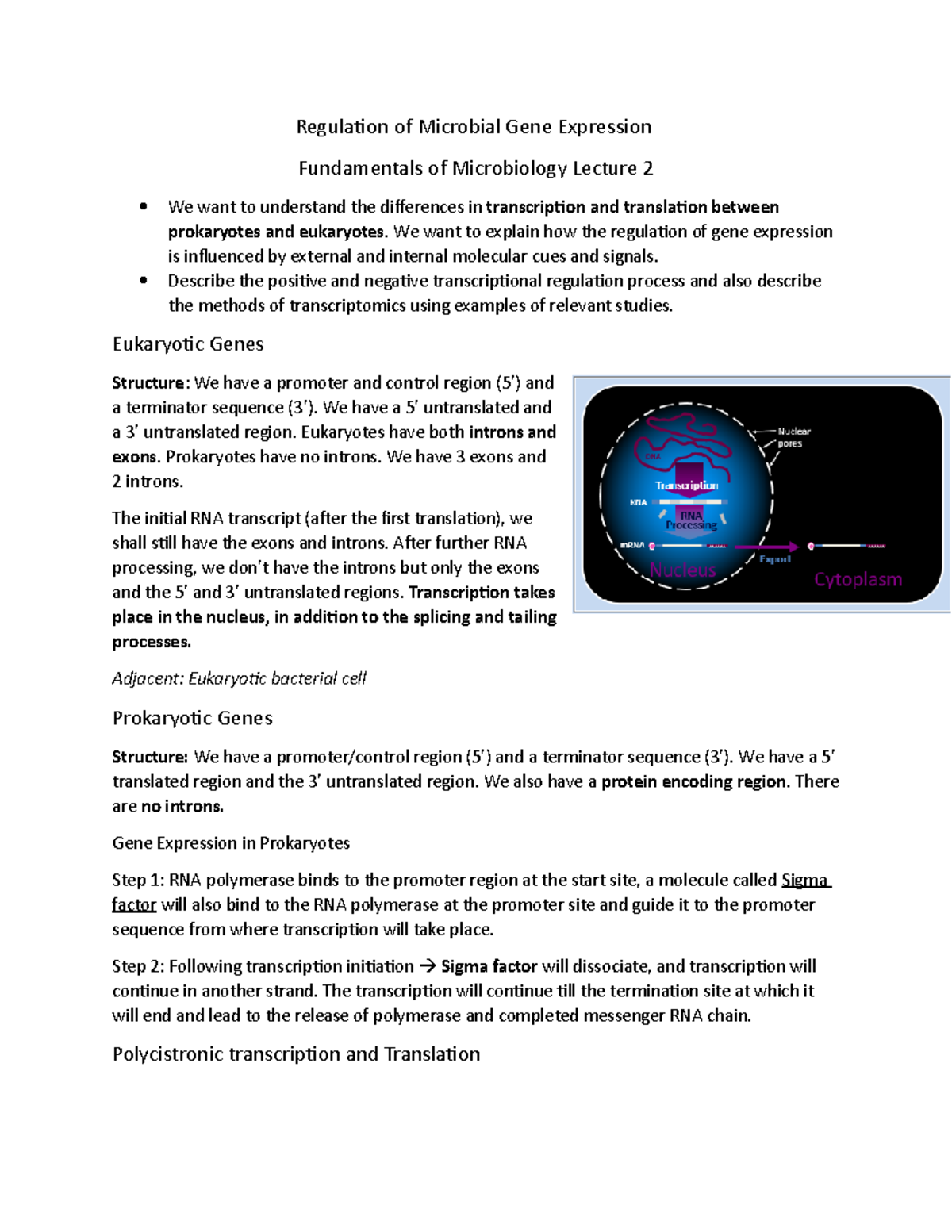 Regulation of Microbial Gene Expression - Regulation of Microbial Gene ...