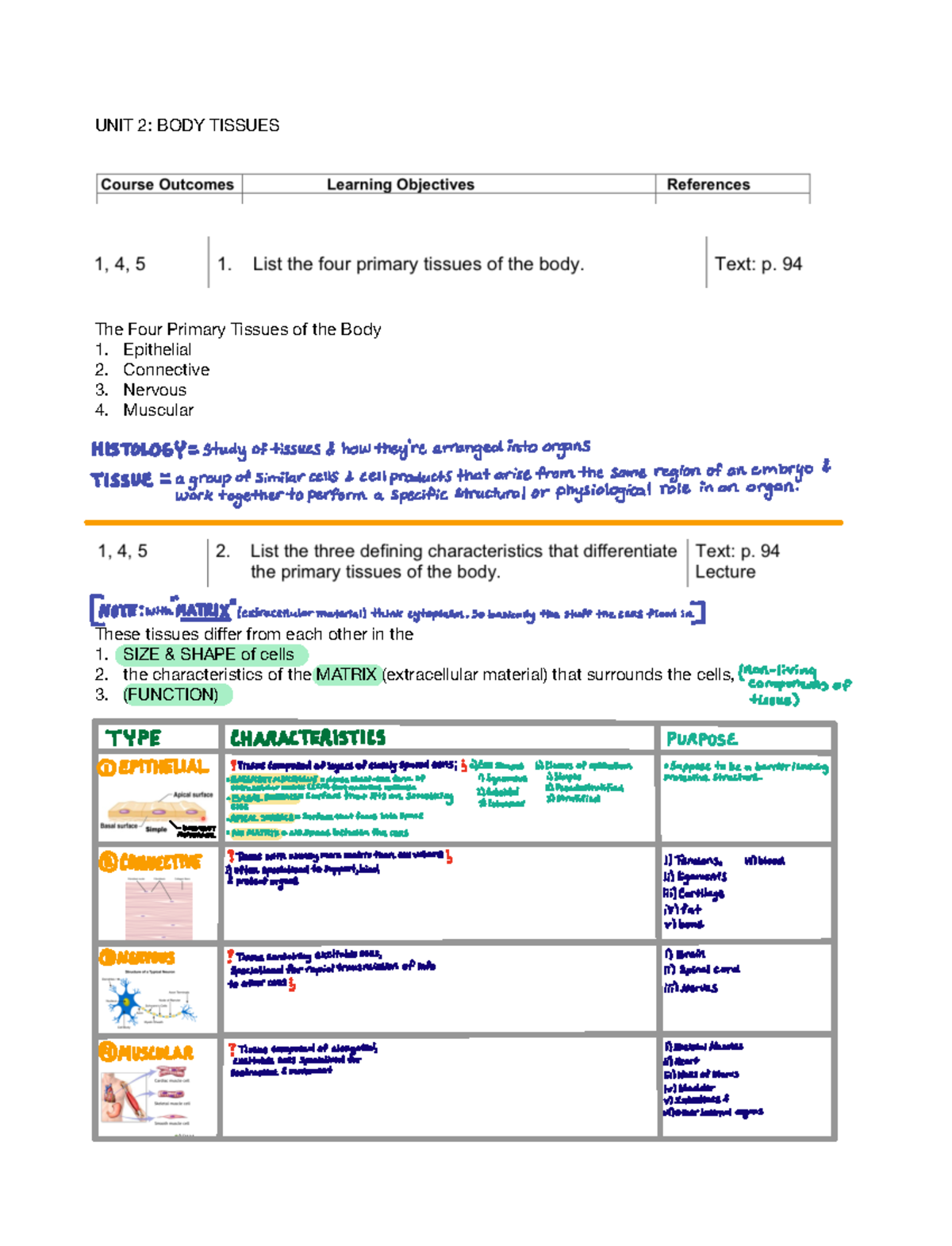 Week 2- Unit 2 Body tissues - UNIT 2: BODY TISSUES The Four Primary ...