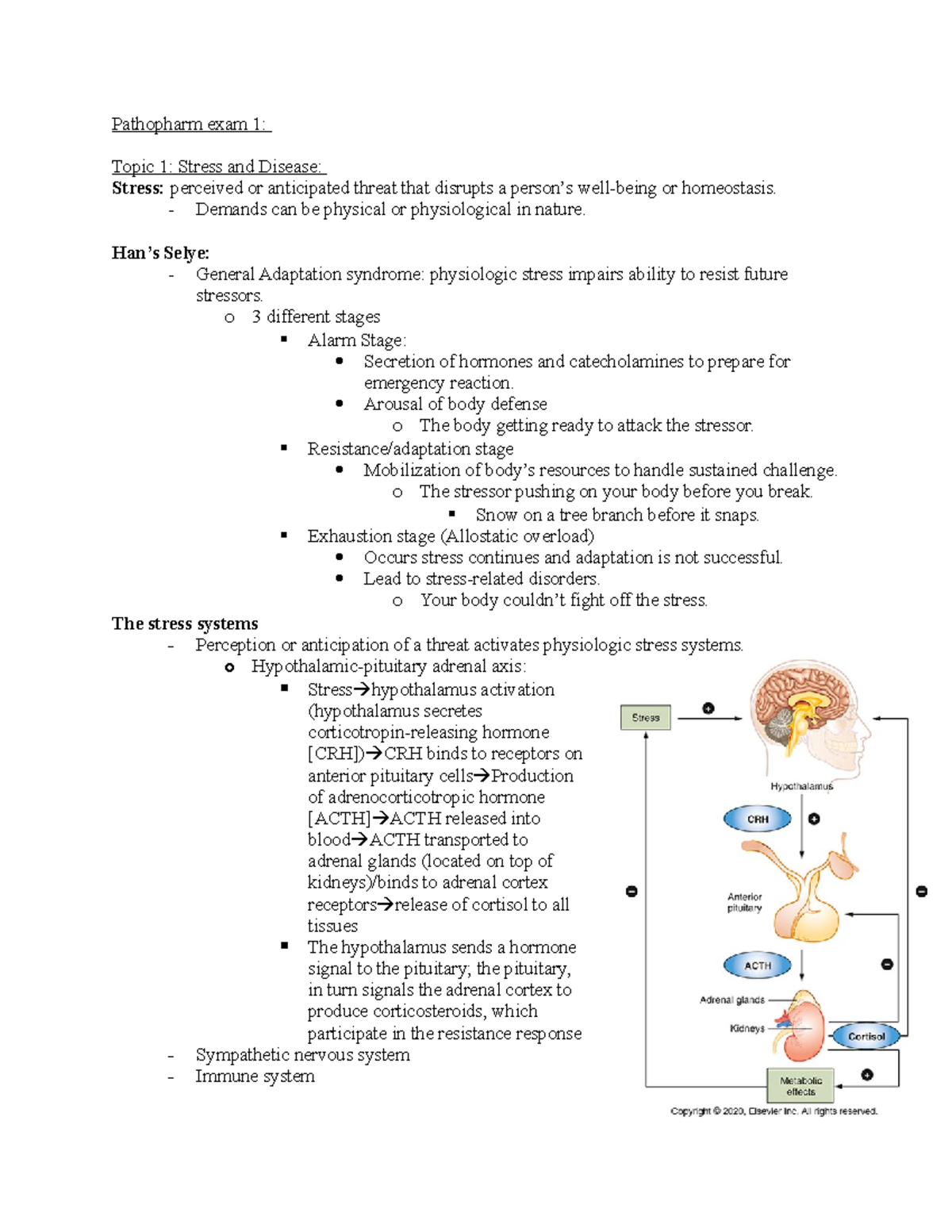 Pathopharm exam 1 outline - Pathopharm exam 1: Topic 1: Stress and ...