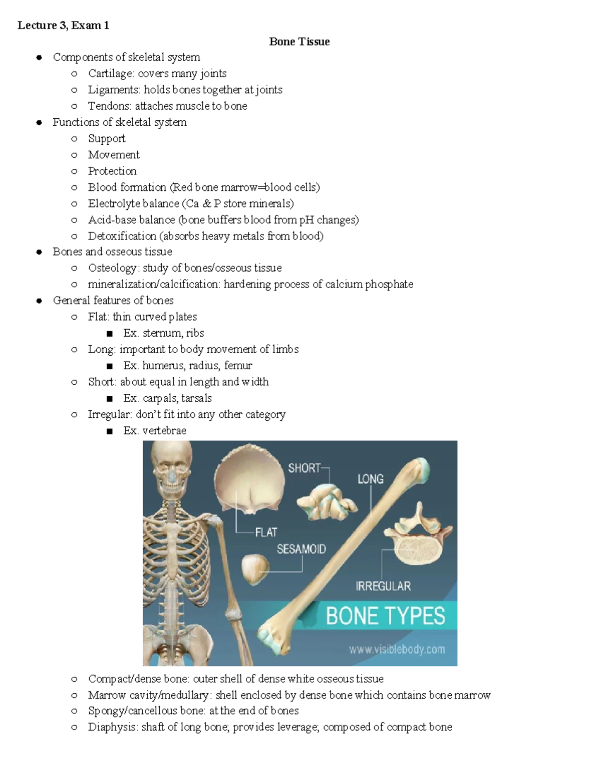ANAT201 Lecture 3, Exam 1 - Lecture 3, Exam 1 Bone Tissue Components of ...