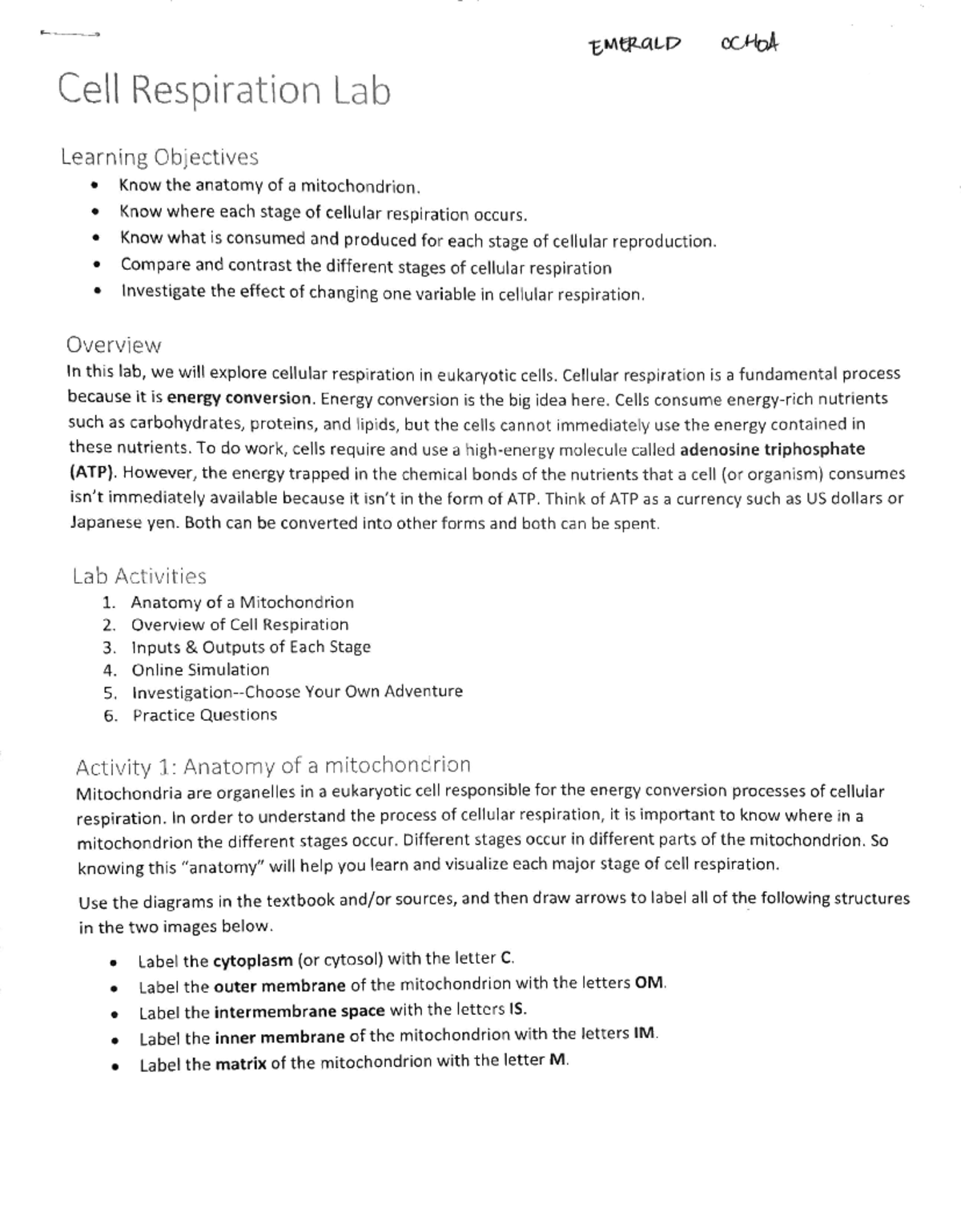 Cell respiration lab - Our lab every thursday. - 015 - Studocu