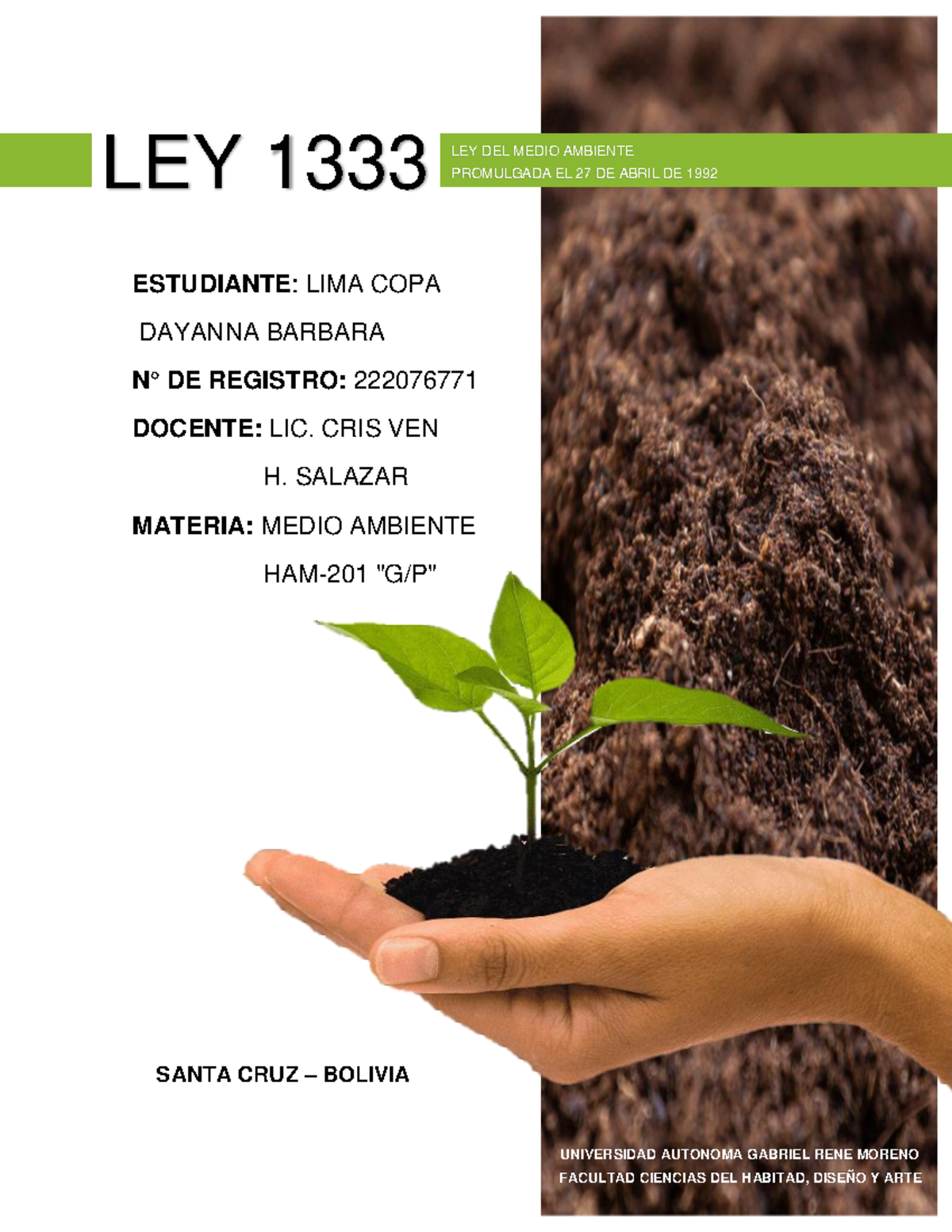 LEY 1333 LIMA - MEDIOAMBIENTE - ESTUDIANTE: LIMA COPA DAYANNA BARBARA N ...