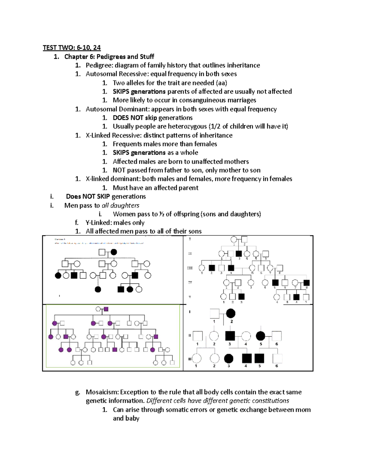 Genetics EXAM 2 Review MILES - TEST TWO: 6-10, 24 Chapter 6: Pedigrees ...