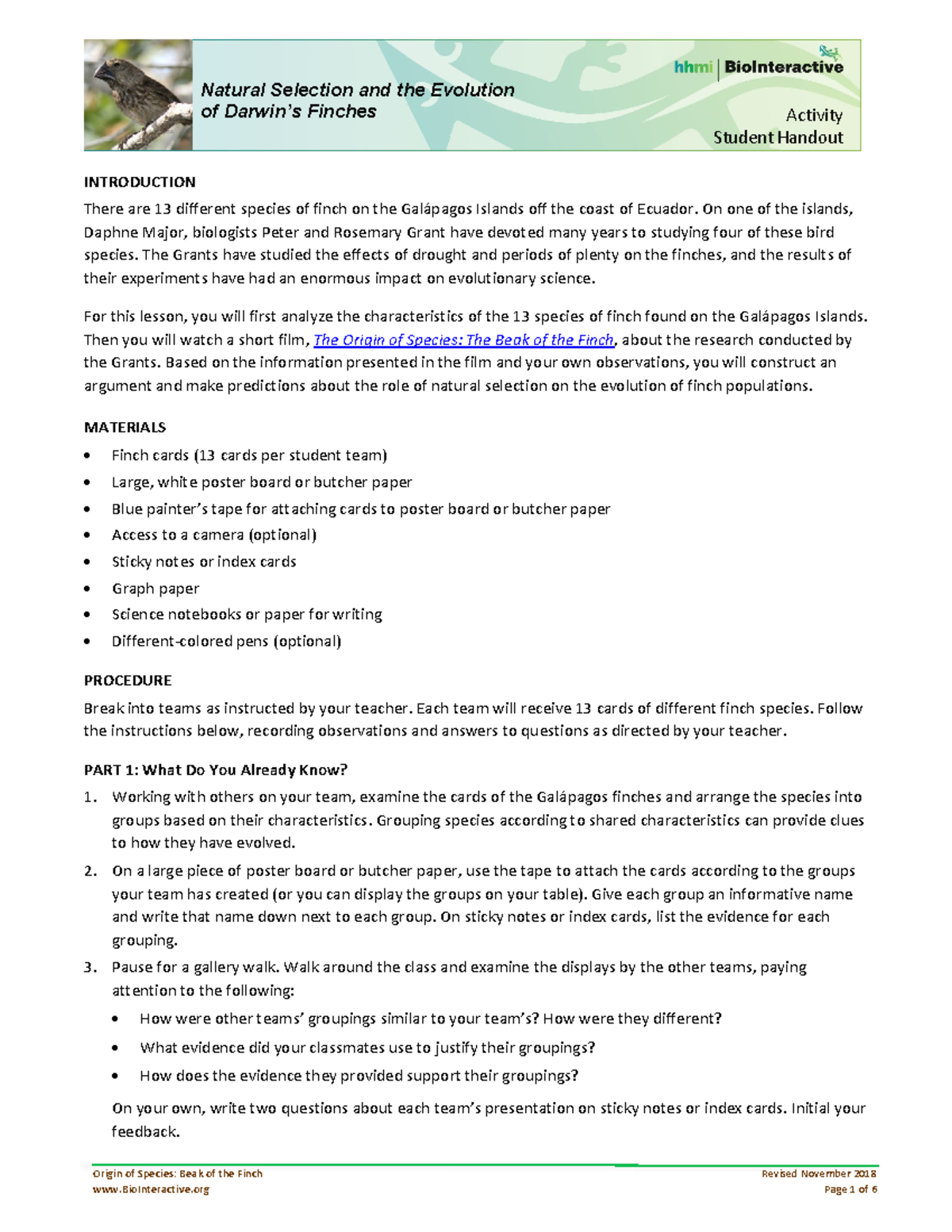 Natural Selection Finches-Student HO-act - Origin of Species: Beak of ...