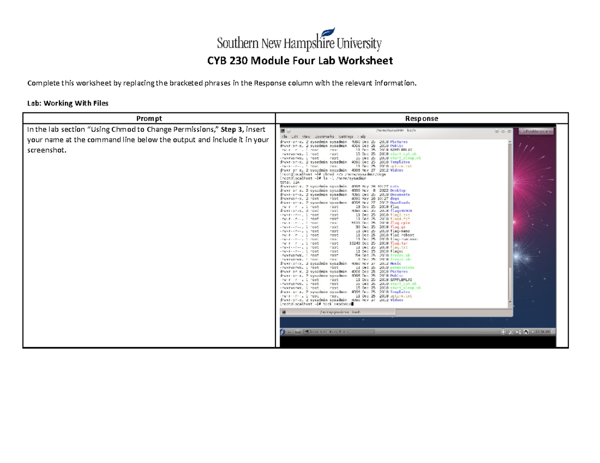 CYB 230 Module Four Lab Worksheet - CYB 230 Module Four Lab Worksheet ...
