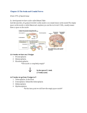 Lab 2 hw - Lab assignment - Anatomy and Physiology II Fall 2020 Lab HW ...