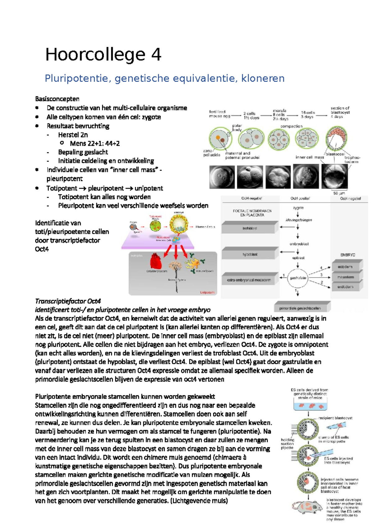 Hoorcollege 4 - hormonale schommeling, hongersignaal etc Vb. interactie ...
