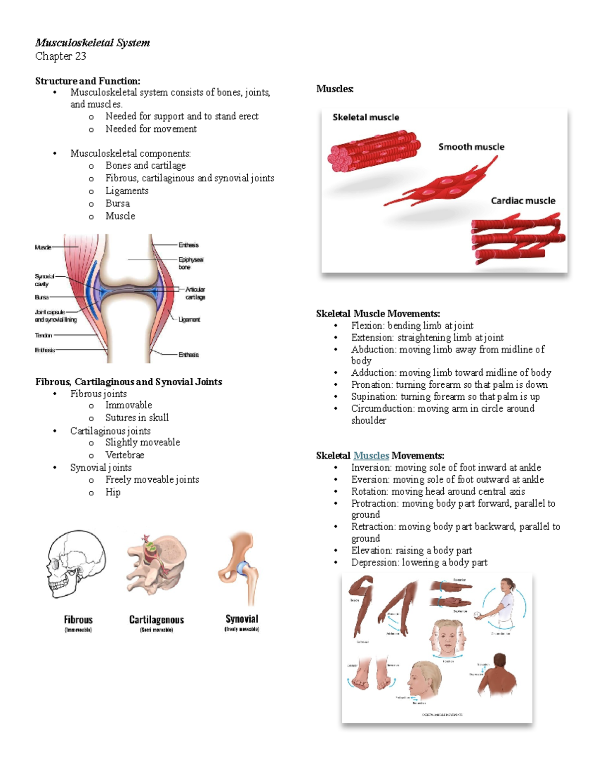 Musculoskeletal System - o Needed for support and to stand erect o ...
