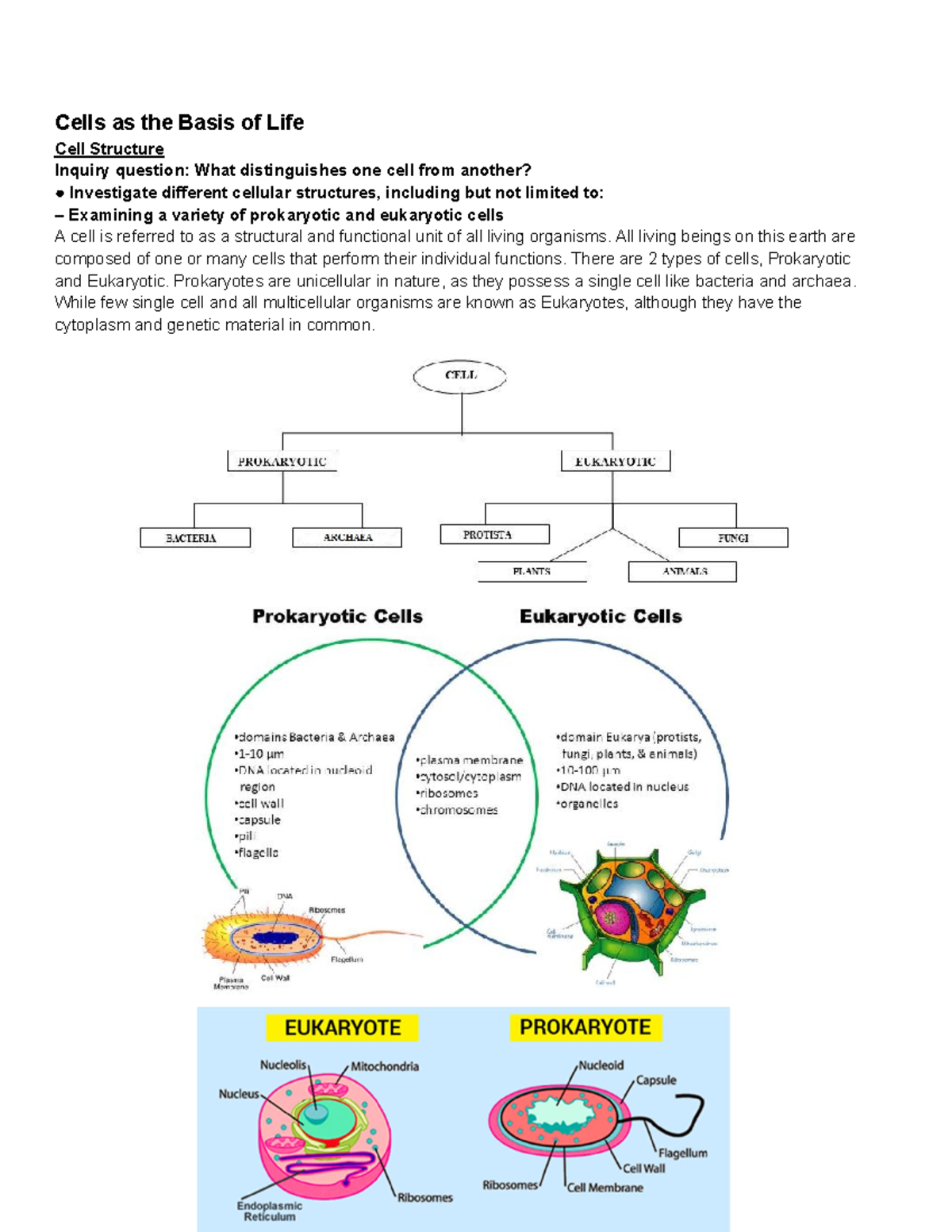 Notes - Cells as the Basis of Life - Cells as the Basis of Life Cell ...