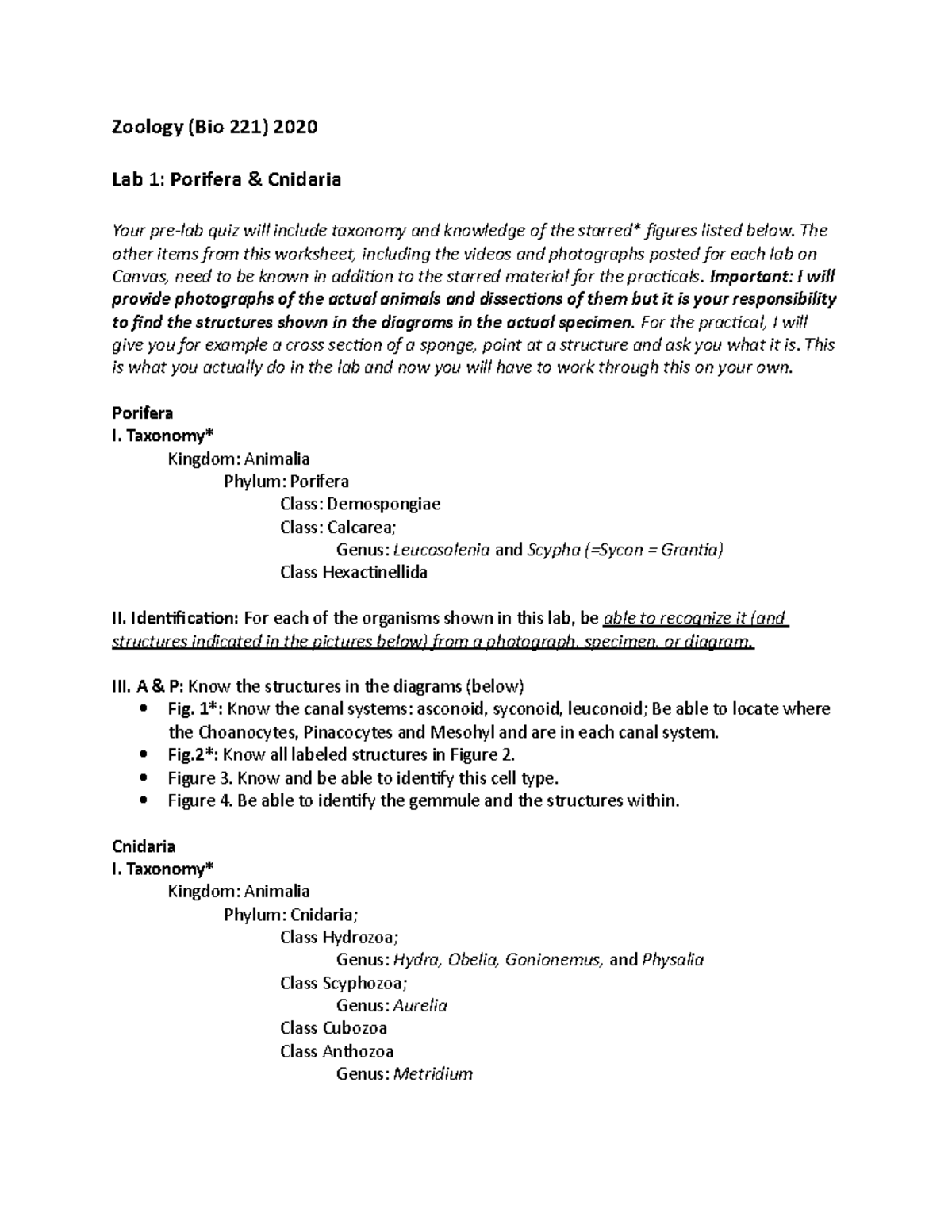Zoo+Lab+1+(2020) - lab notes - Zoology (Bio 221) 2020 Lab 1: Porifera ...