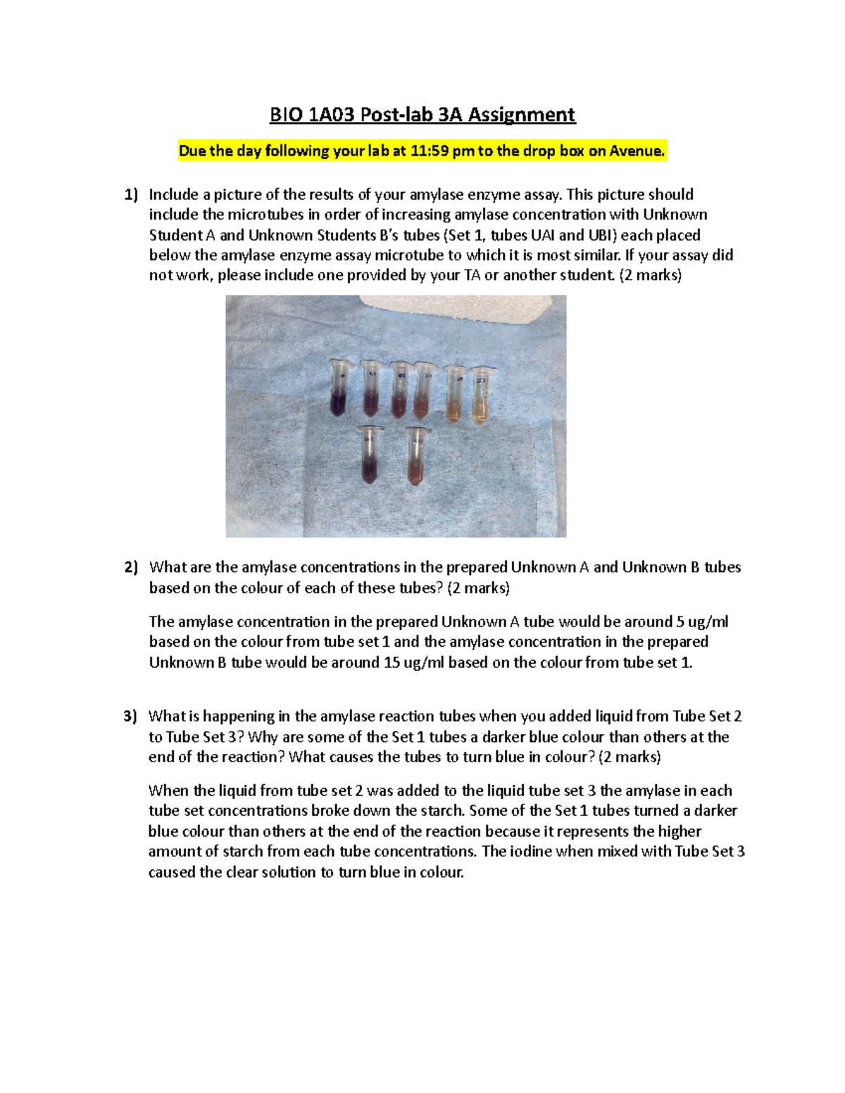 Post-lab 3A Assignment - 1) Include a picture of the results of your amylase enzyme assay. This ...