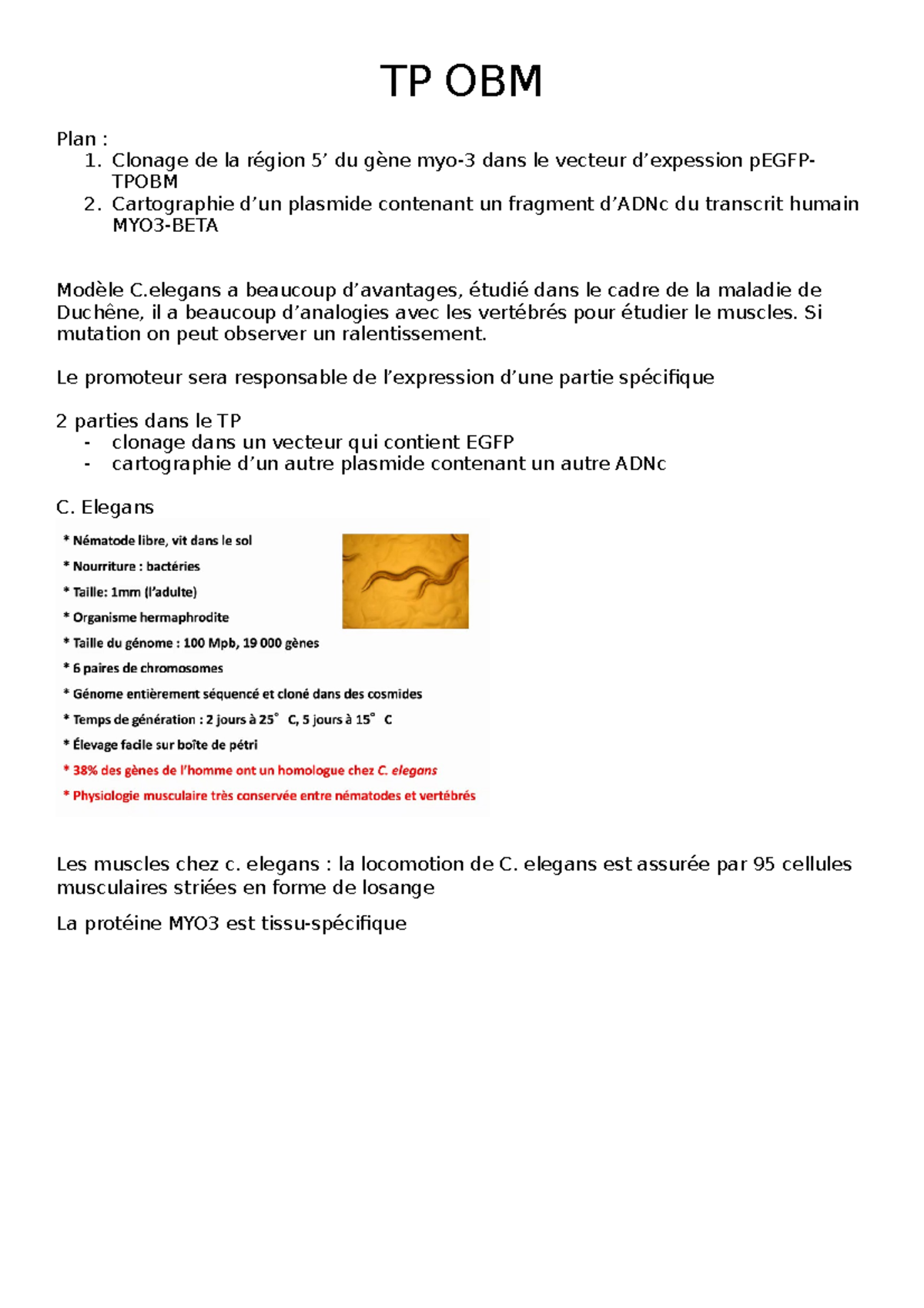 TP OBM - Outils et bases moléculaires - UCBL - StuDocu