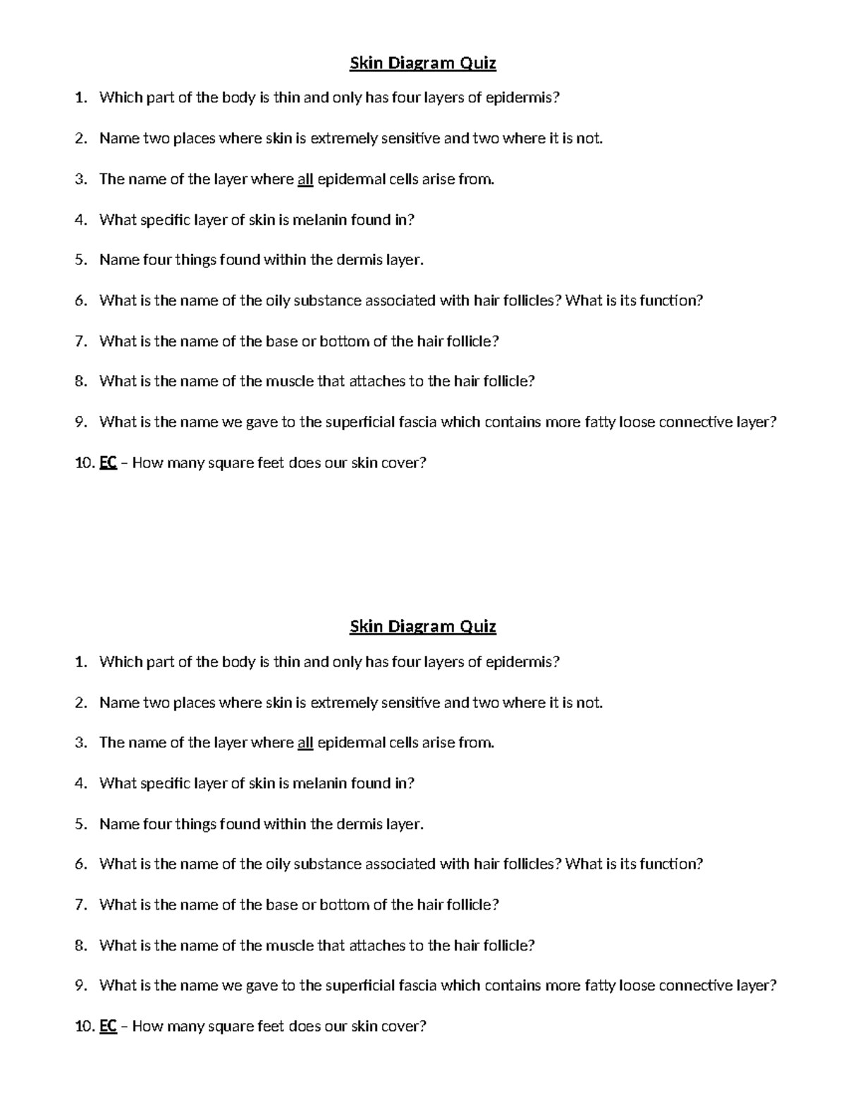 Skin Diagram Quiz - assignments that I give to my Anatomy and ...
