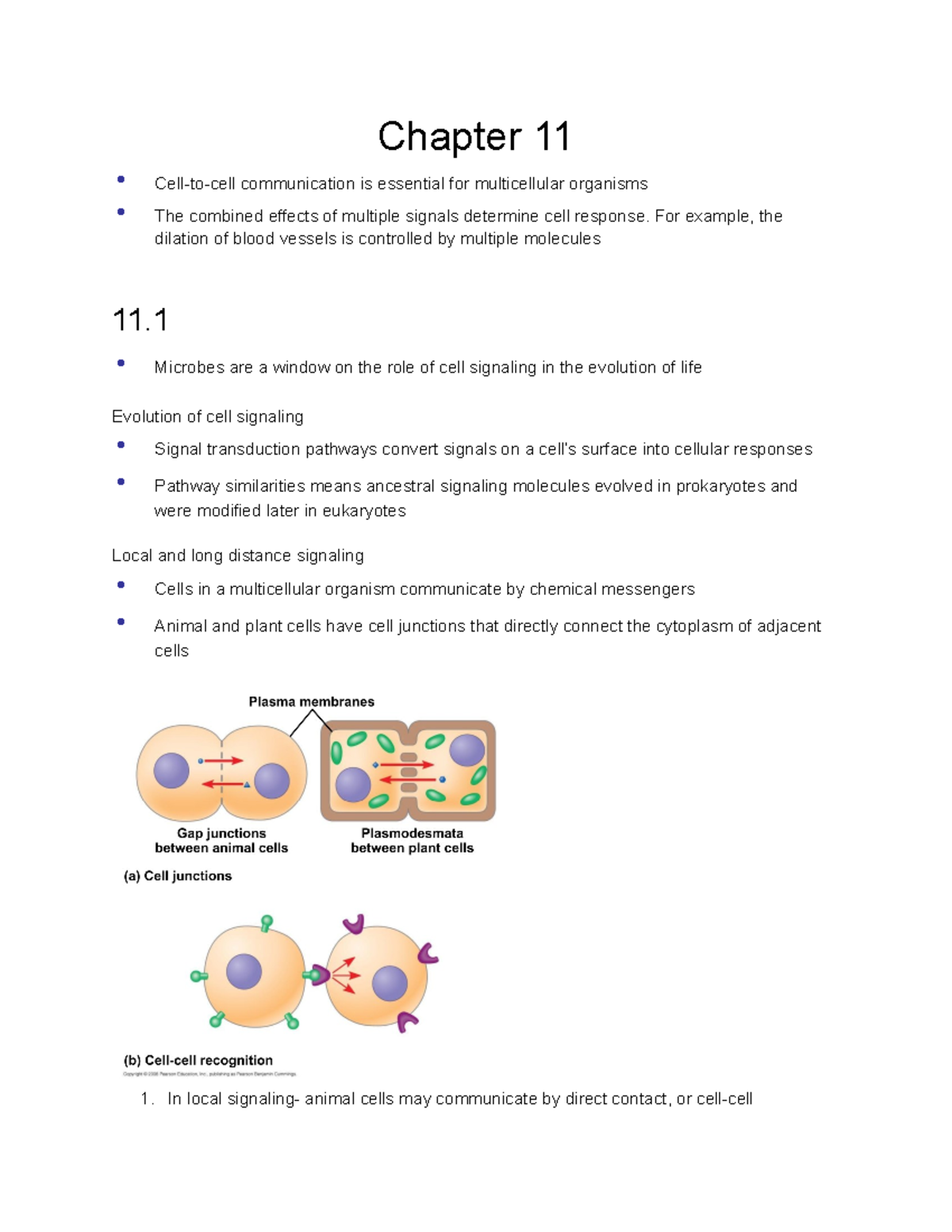 Biology Chapter 11 - Chapter 11 • Cell-to-cell communication is essential for multicellular ...