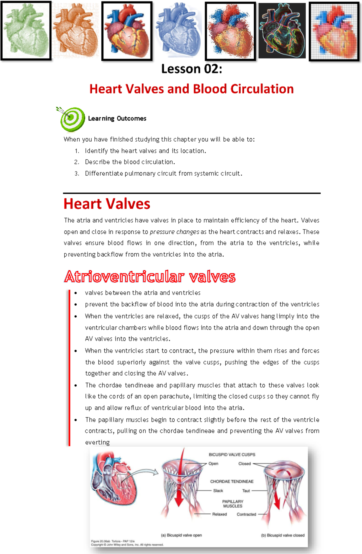 NUMC 101B Module 2 Cardiovascular system - the Heart Lesson 02 ...