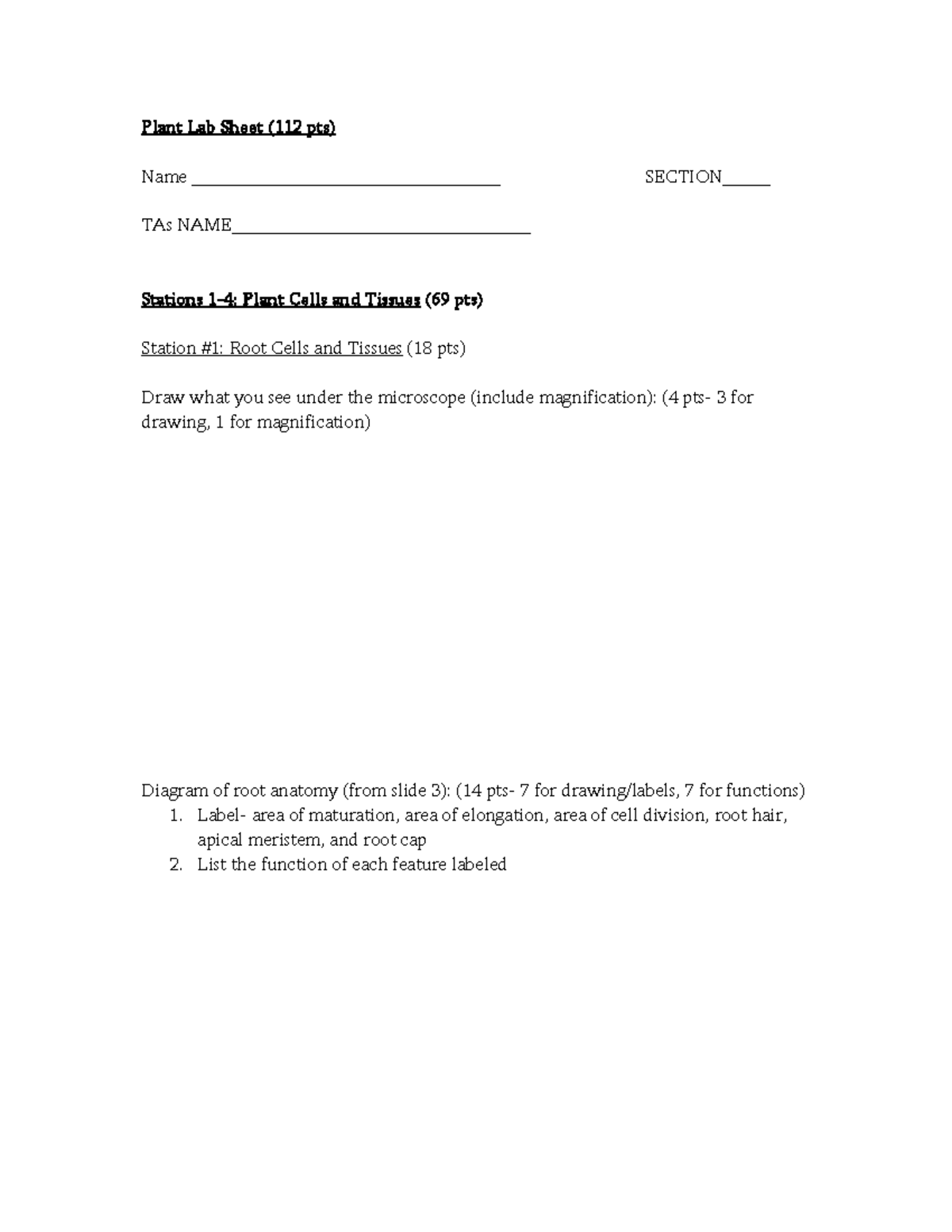 Plants Lab WS - Plant Lab Sheet ( 112 pts) Name ...