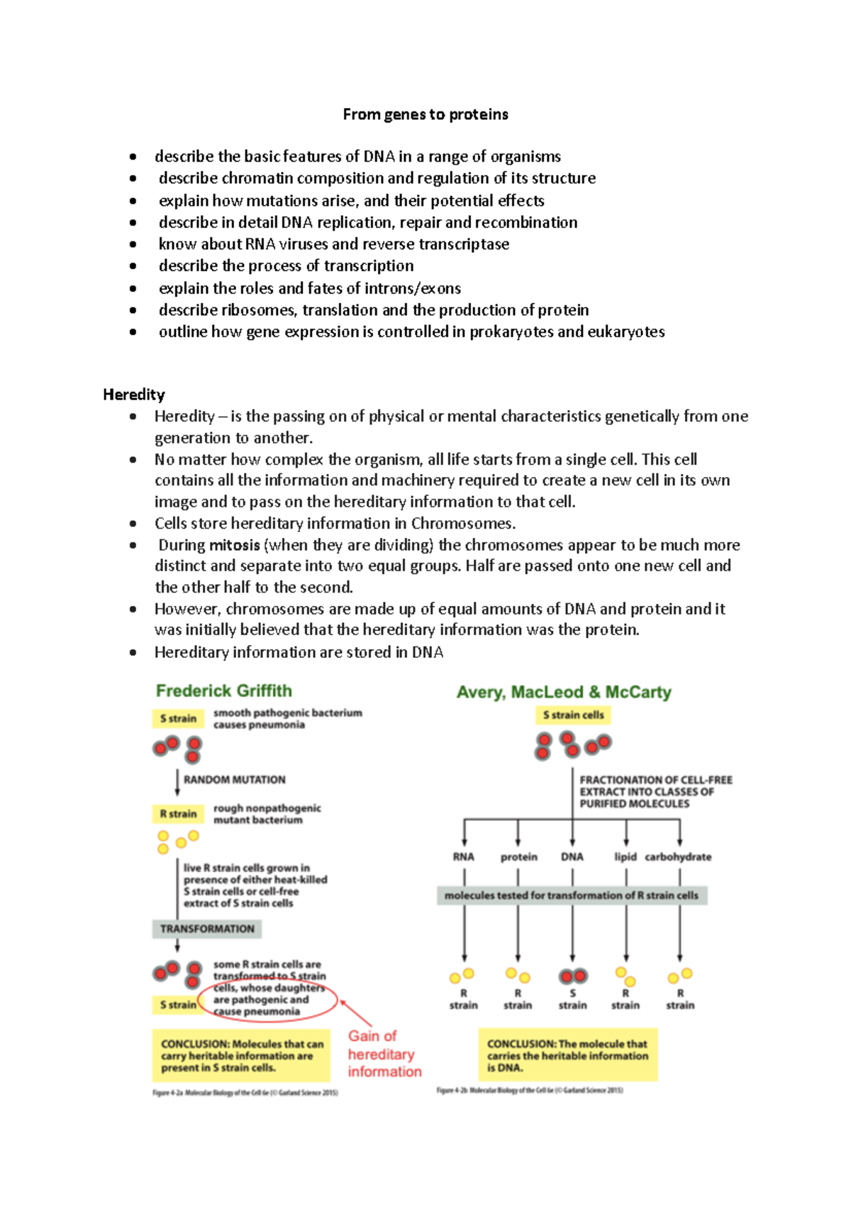 From genes to proteins - From genes to proteins ...