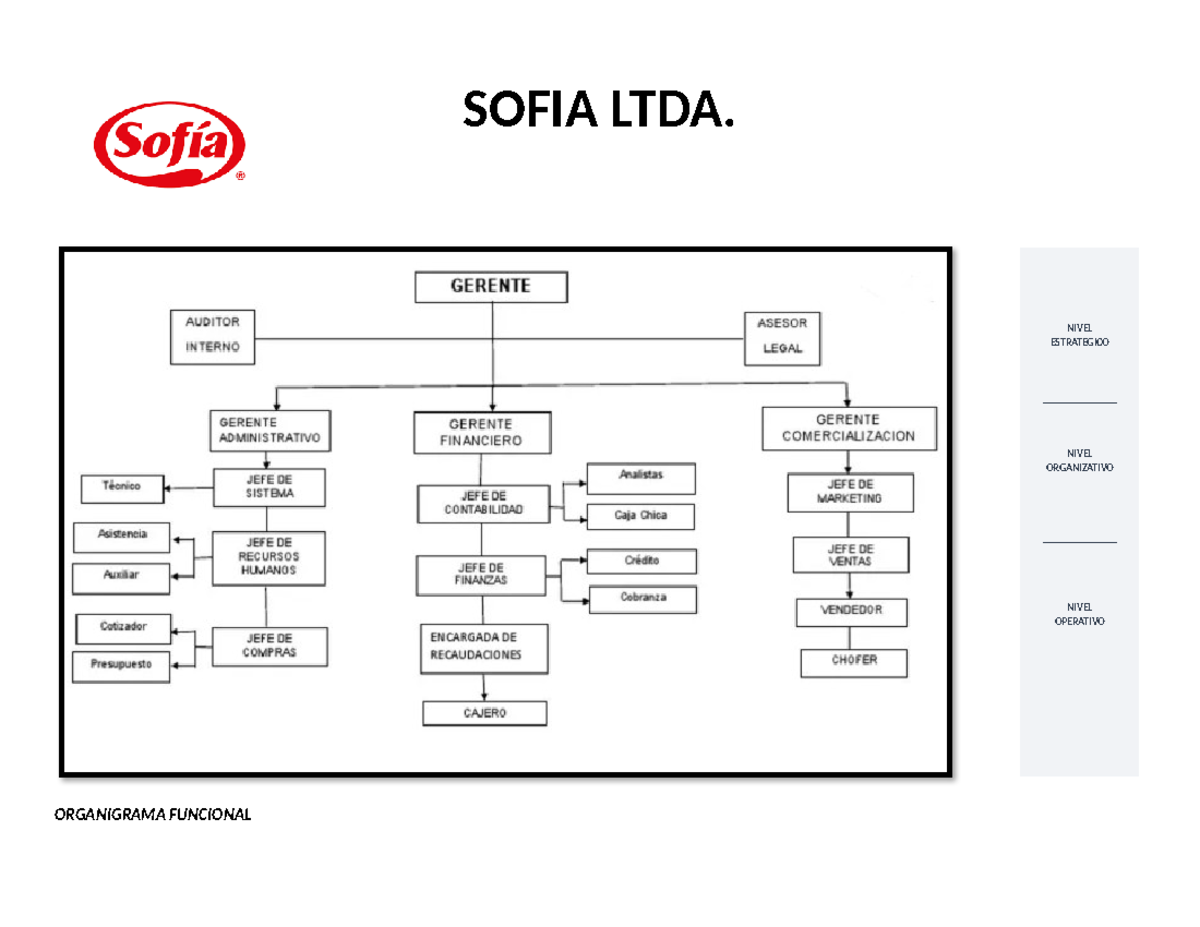 Organigrama Funcional - Auditoria Interna - SOFIA LTDA. ORGANIGRAMA FUNCIONAL NIVEL ESTRATEGICO ...