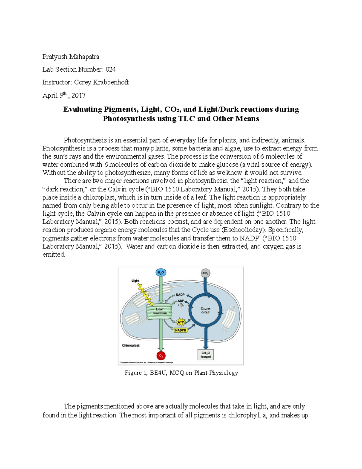 Lab report 3 bio1510 - exam questions - Pratyush Mahapatra Lab Section ...