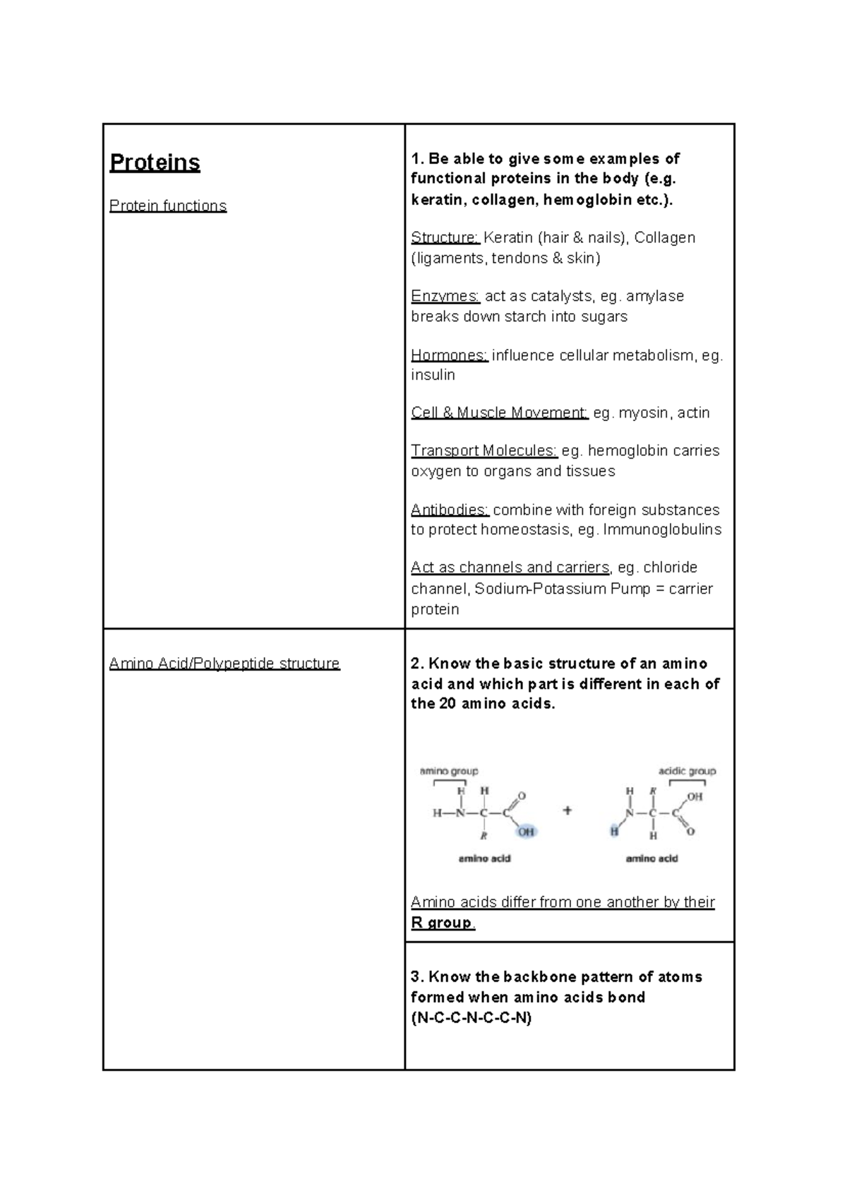 BIOL 1051 Test 2 Study Notes - Proteins Protein functions 1. Be able to ...