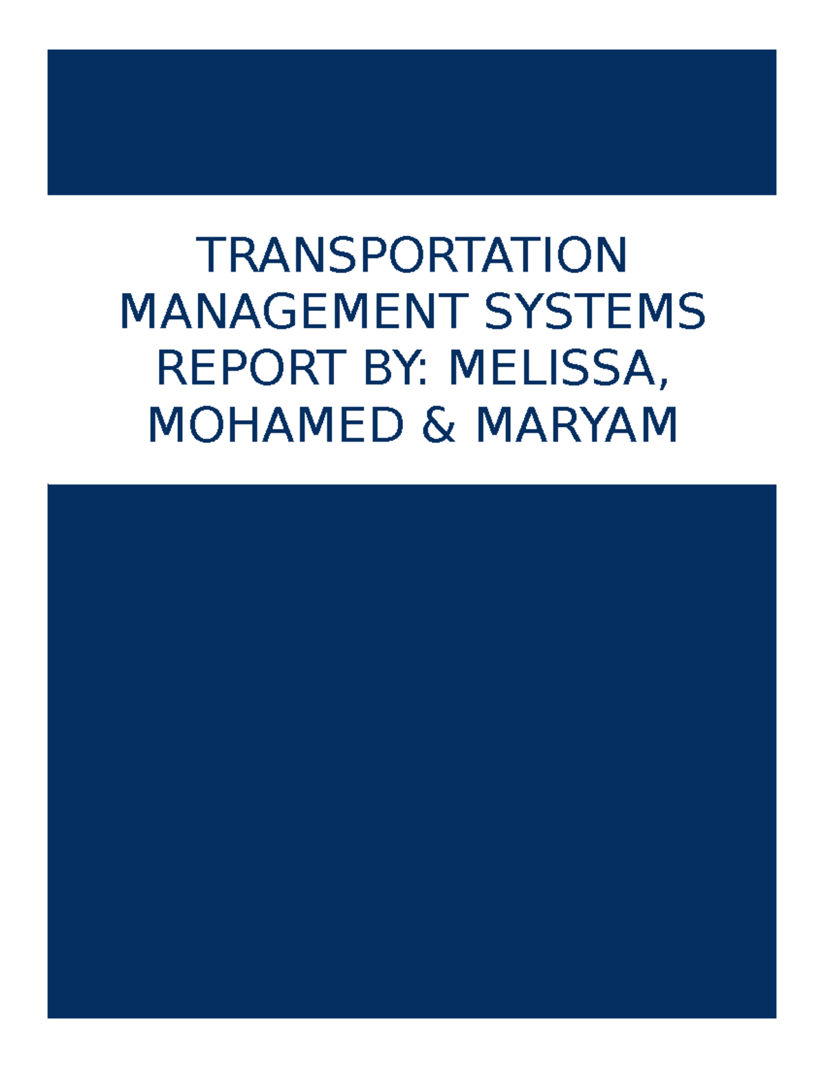 TMS Report for multimodal indusrty - TRANSPORTATION MANAGEMENT SYSTEMS ...