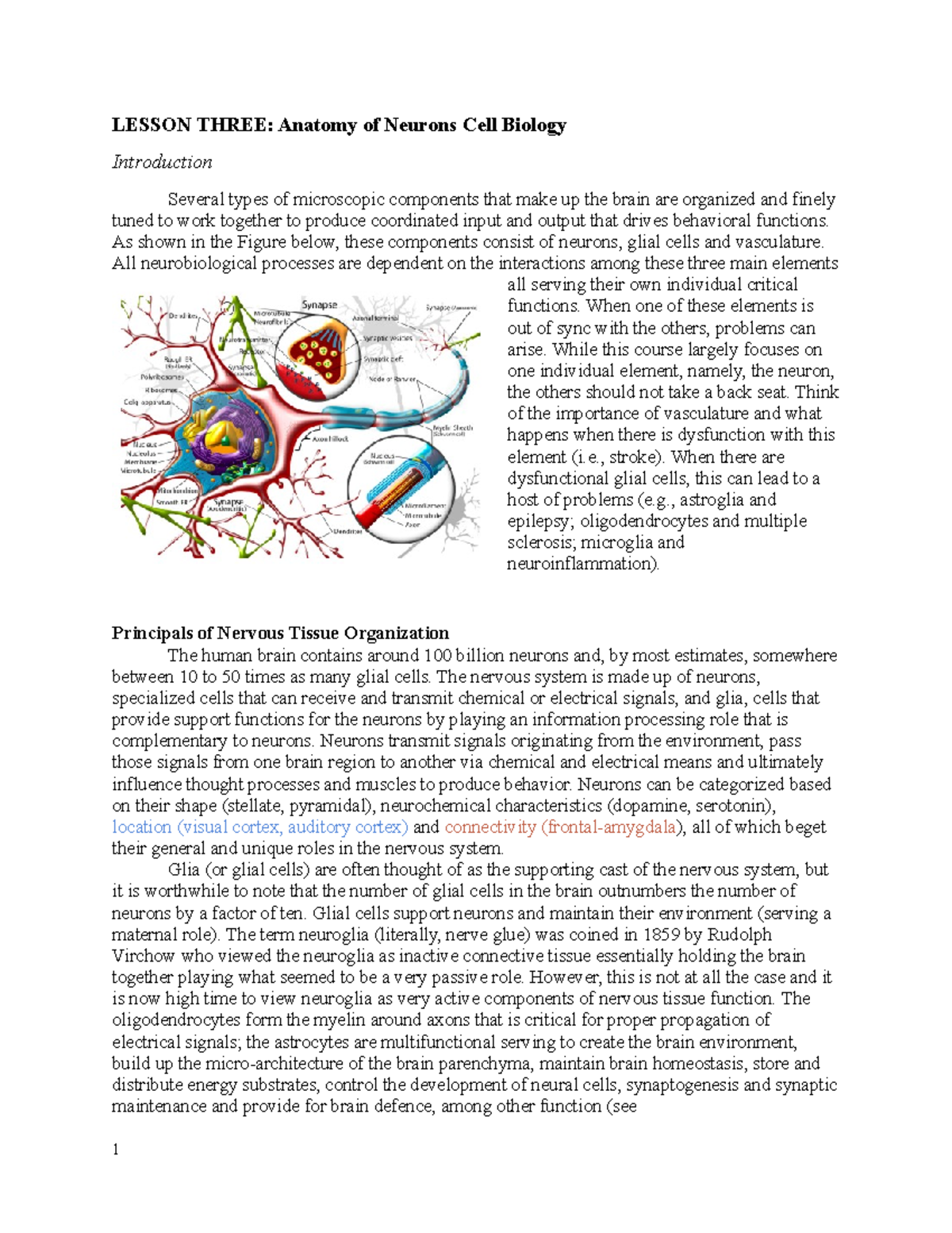 3. Anatomy of Neurons Cell Biology EDIT - LESSON THREE: Anatomy of ...