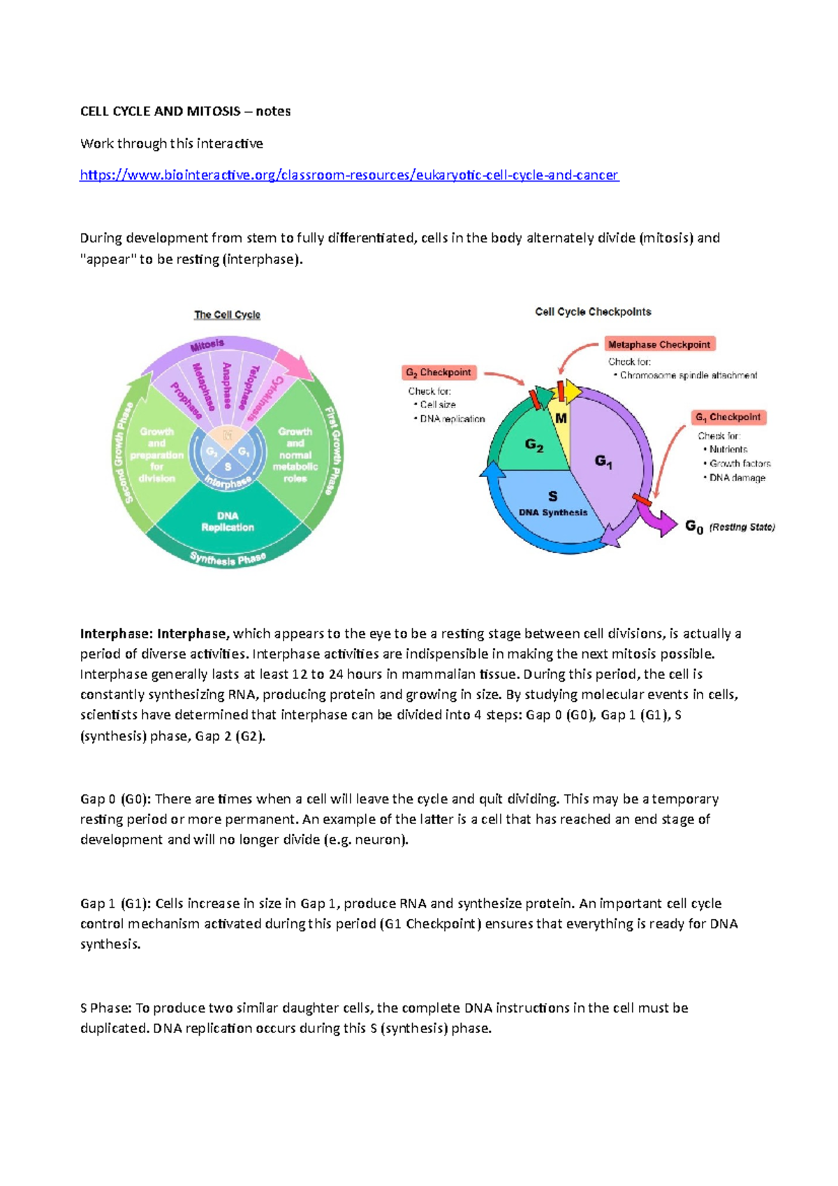 CELL Cycle AND Mitosis - CELL CYCLE AND MITOSIS – notes Work through ...