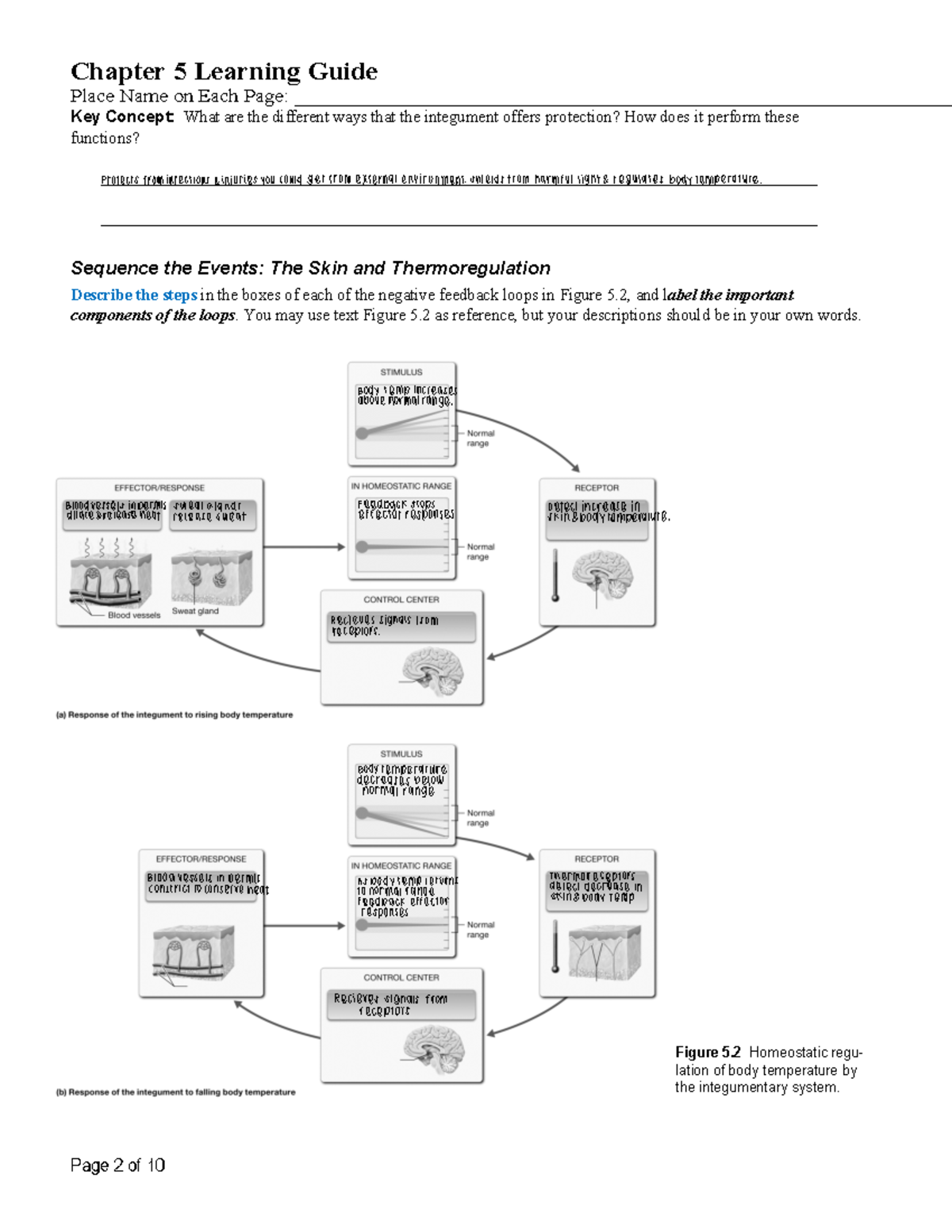 Chapter 5 pg 2 - Chapter 5 Learning Guide Place Name on Each Page ...