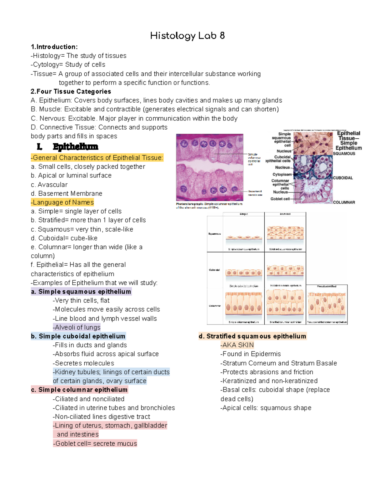Histology lab notes - The four main tissue categories and each of their ...