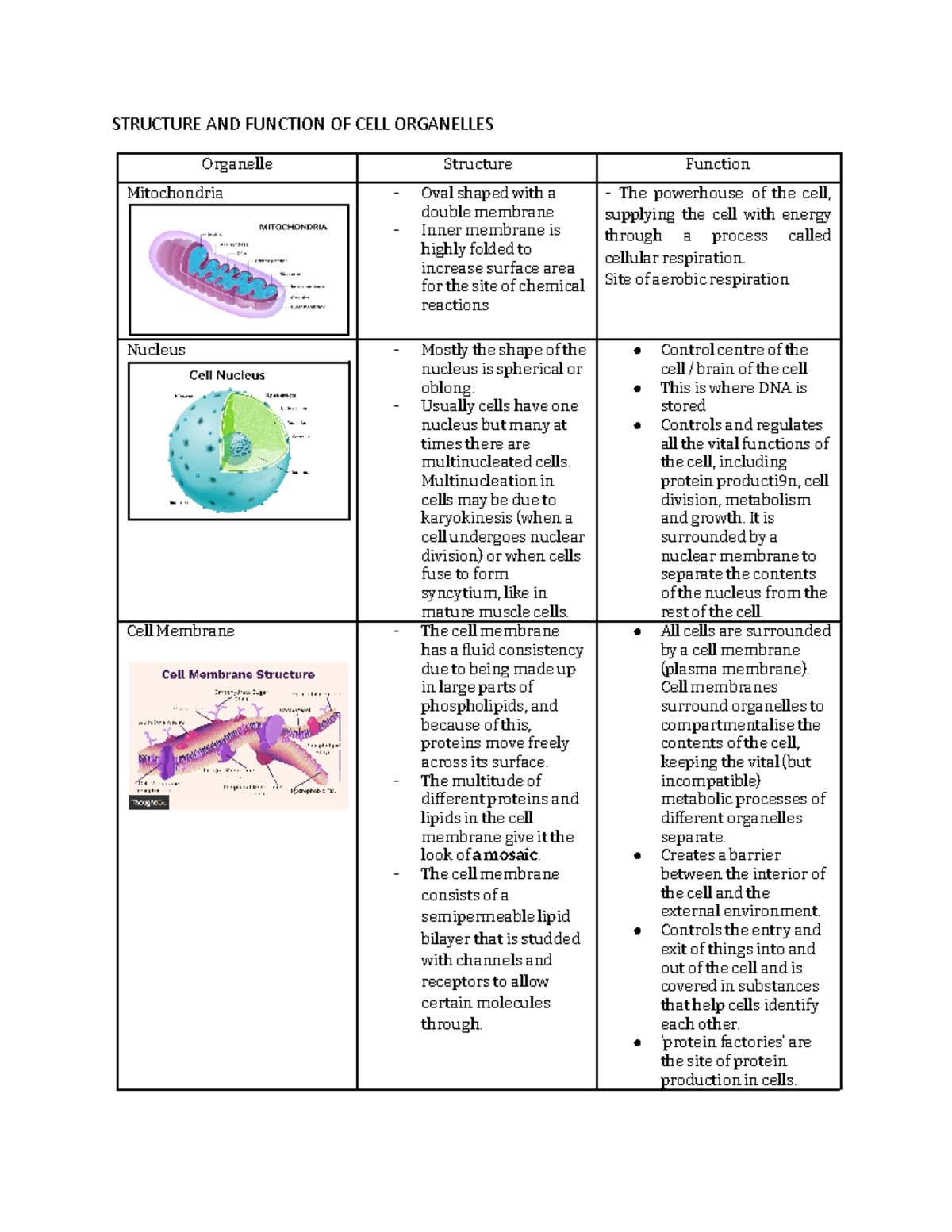 Structure AND Function OF CELL Organelles - STRUCTURE AND FUNCTION OF ...